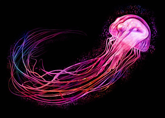 Michael Werner - Visual Development