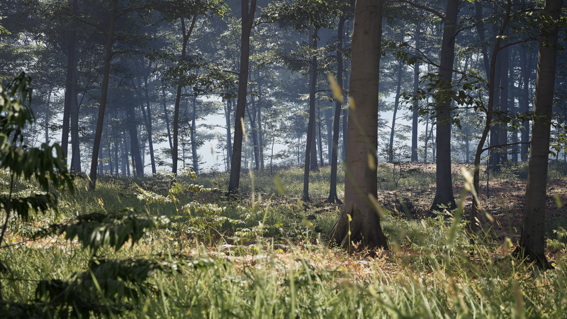 ArtStation - The Forest Environment