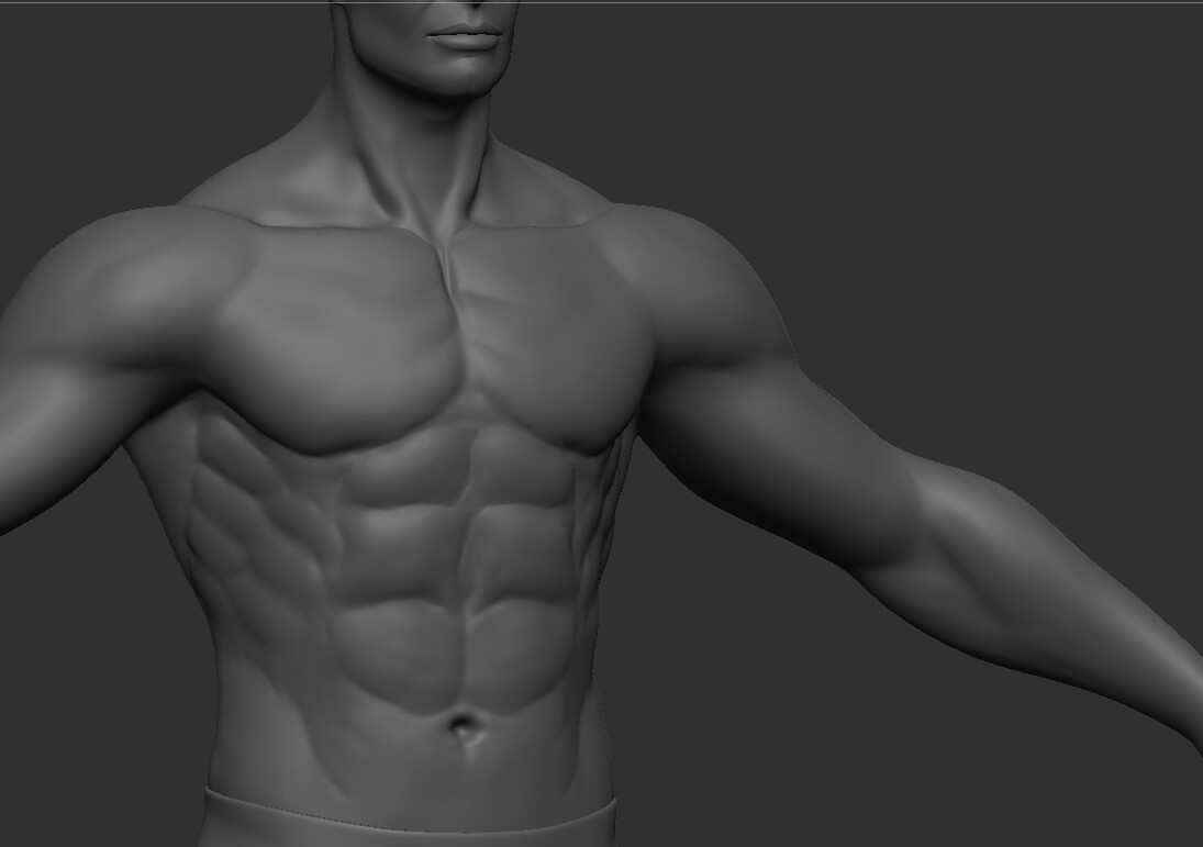 ArtStation - torso study