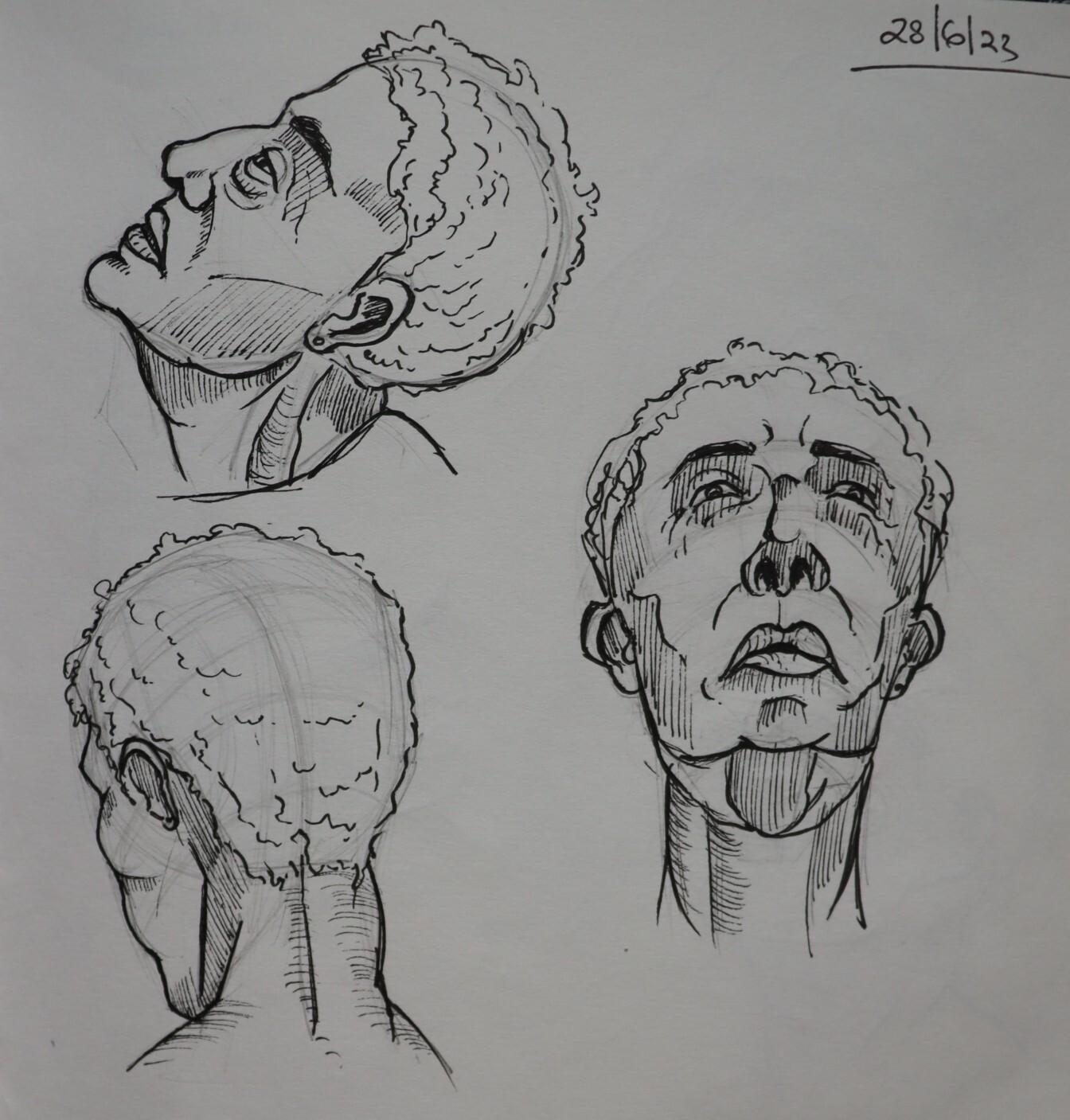 ArtStation - head study