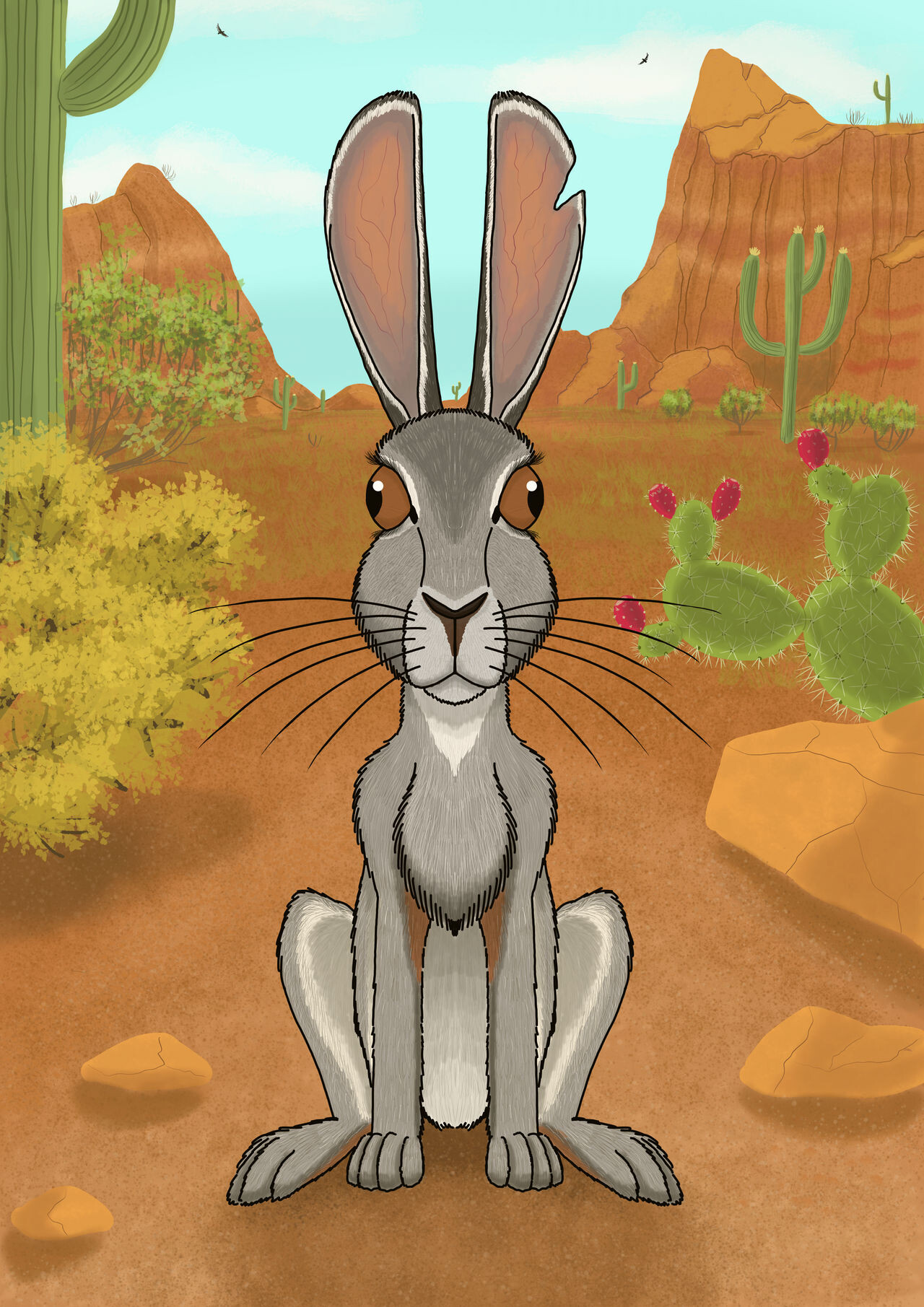 Jackrabbit Animation