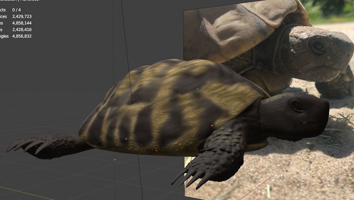 ArtStation - Tortoise