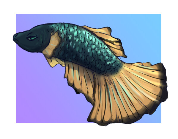 ArtStation - Betta