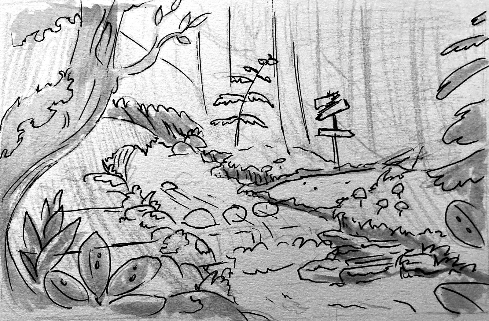 Kaitlyn Ring - The Path Across the Stream