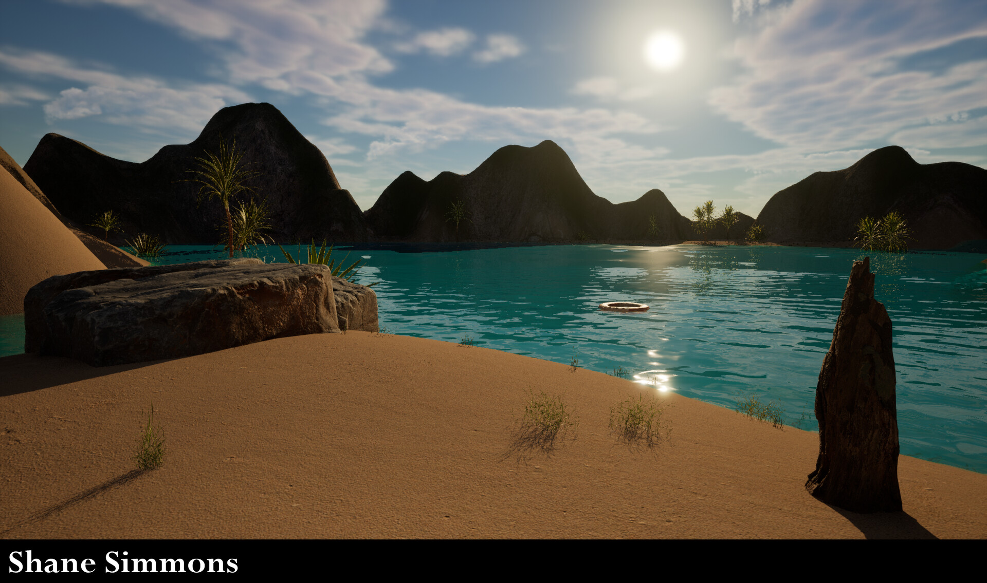 Shane Simmons - UE5 Landscape Practice -Island