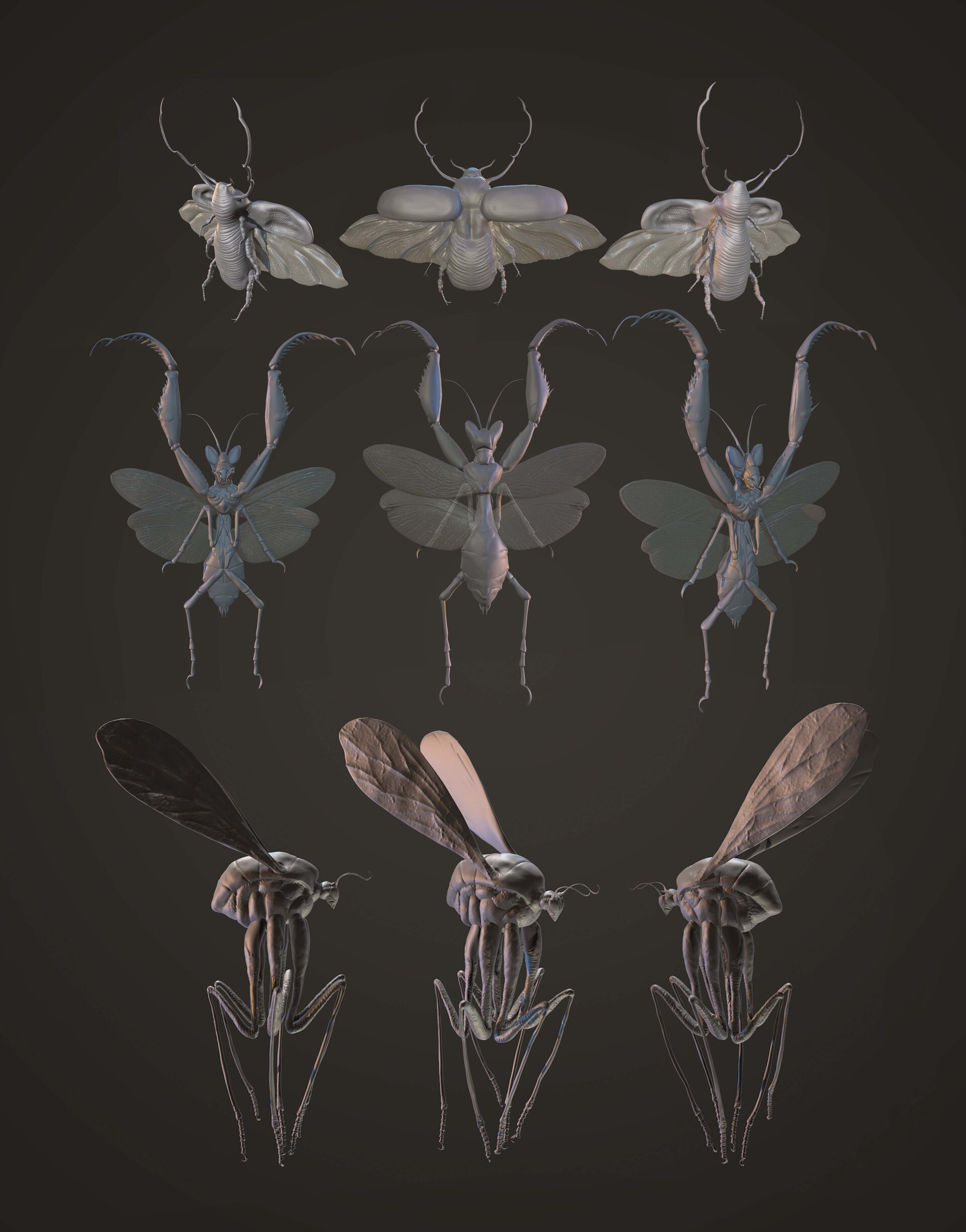 ArtStation - Insects speed sculpting