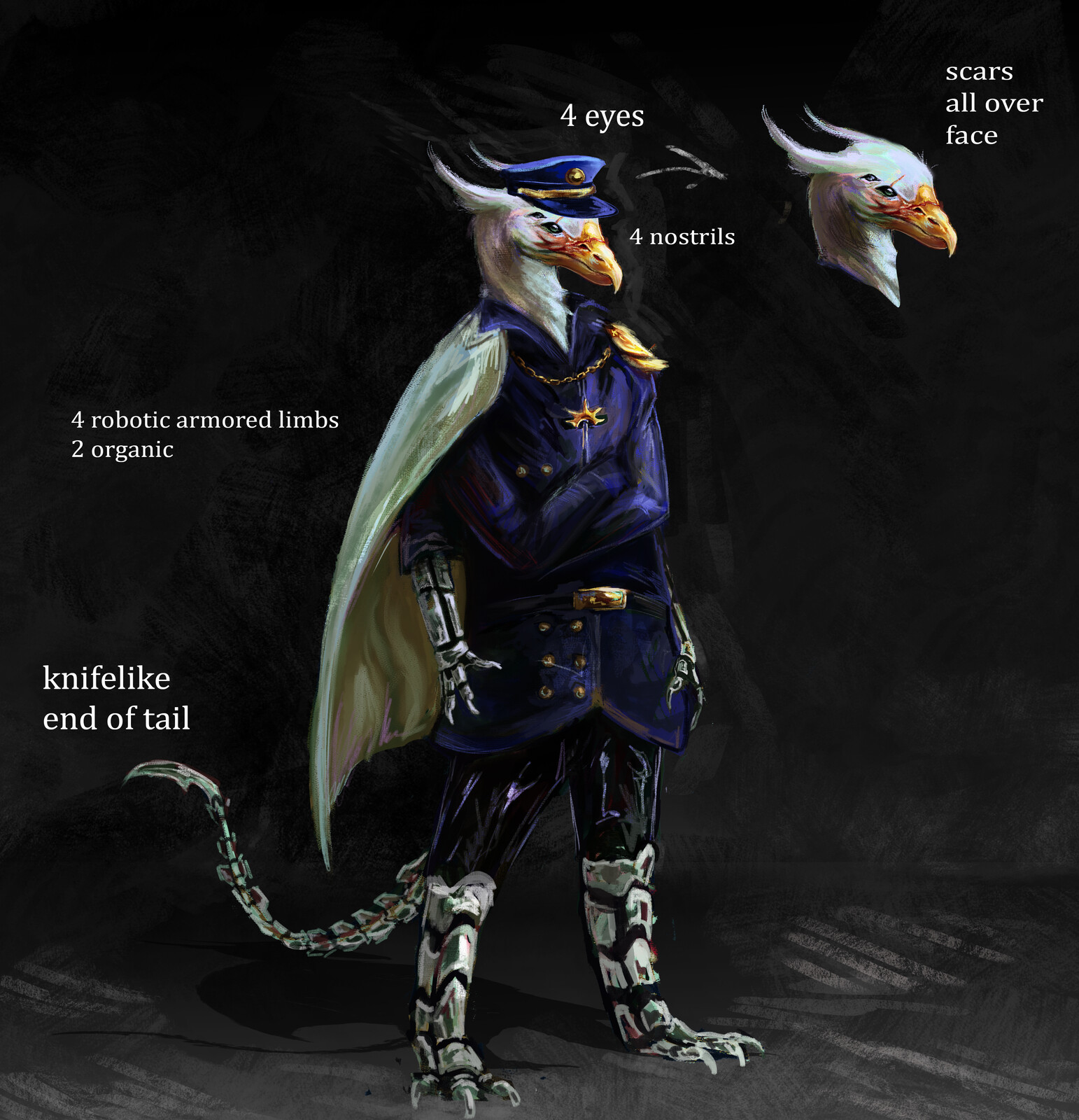 Nikita Zolotova - Portfolio