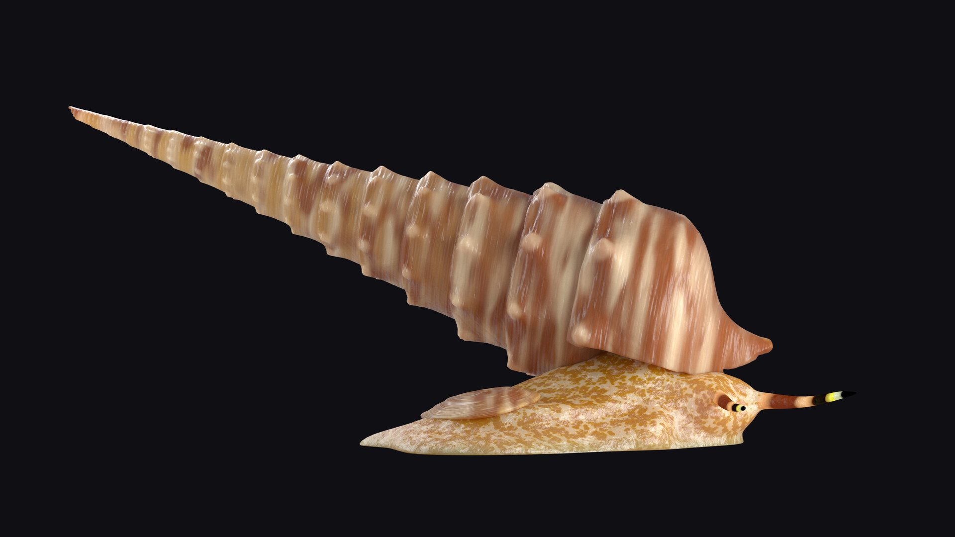 Gil Guminski - Crinoid fields TA