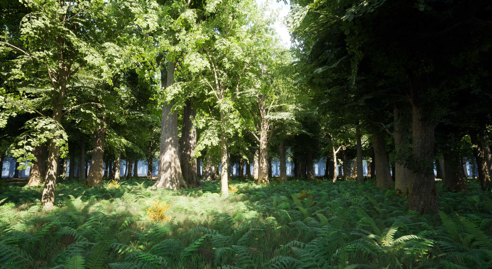 ArtStation - UE5.2.1_LandScape Test