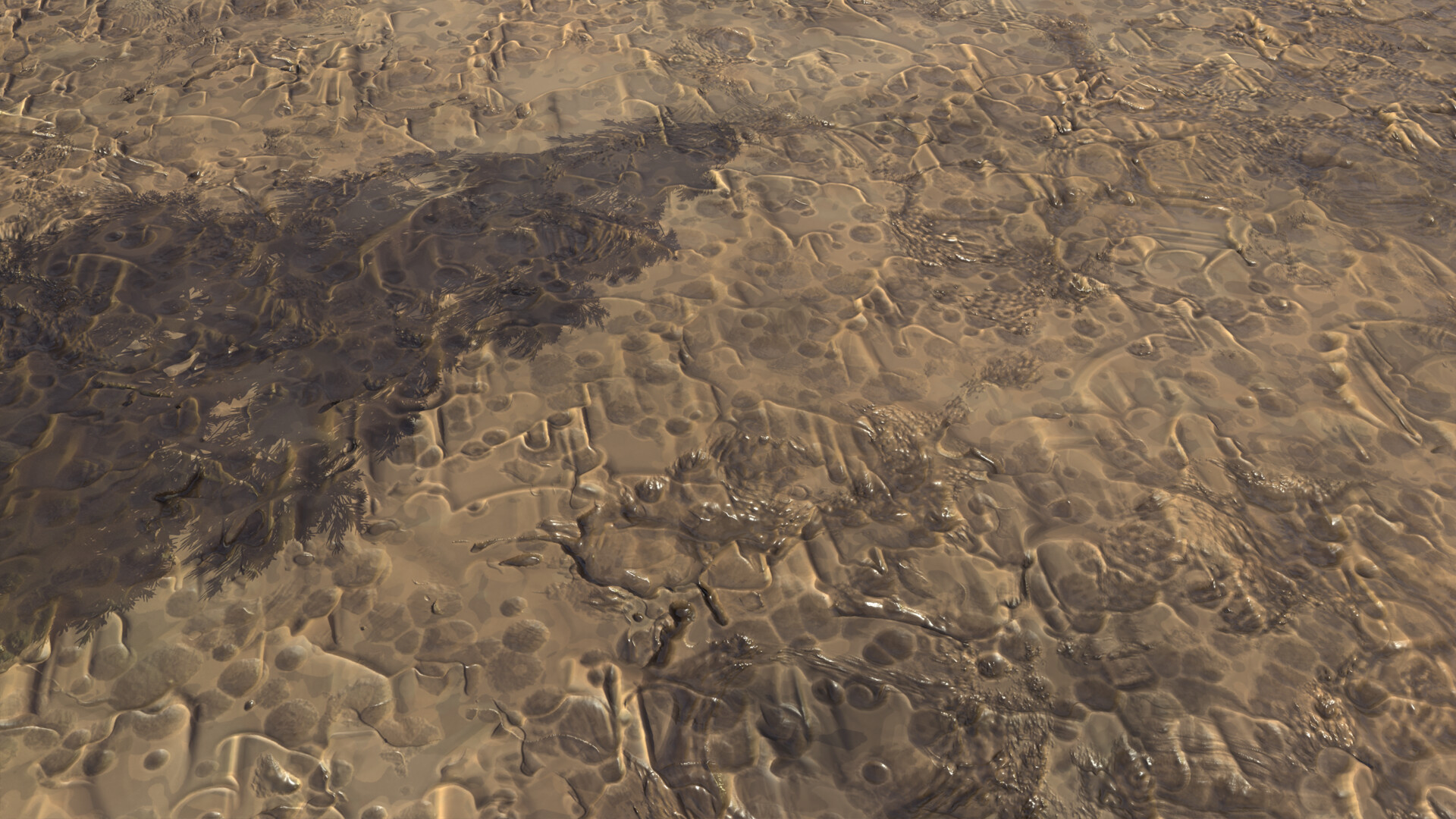 Nate Ryman - Stylized Ground Variations