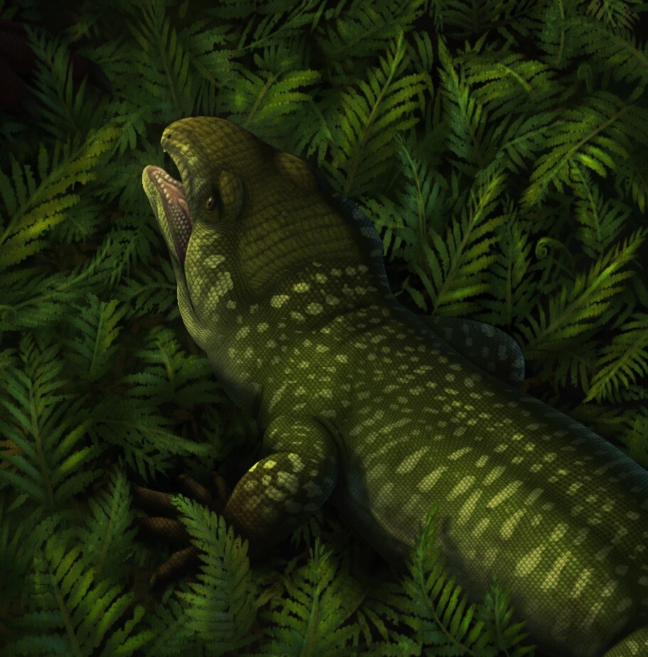 Vitor Silva - Captorhinids from the Pedra de Fogo Formation