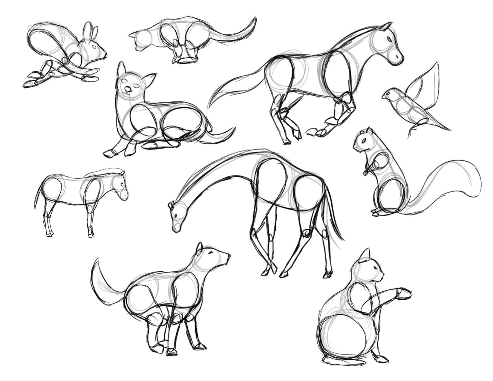 how to draw animal gestures