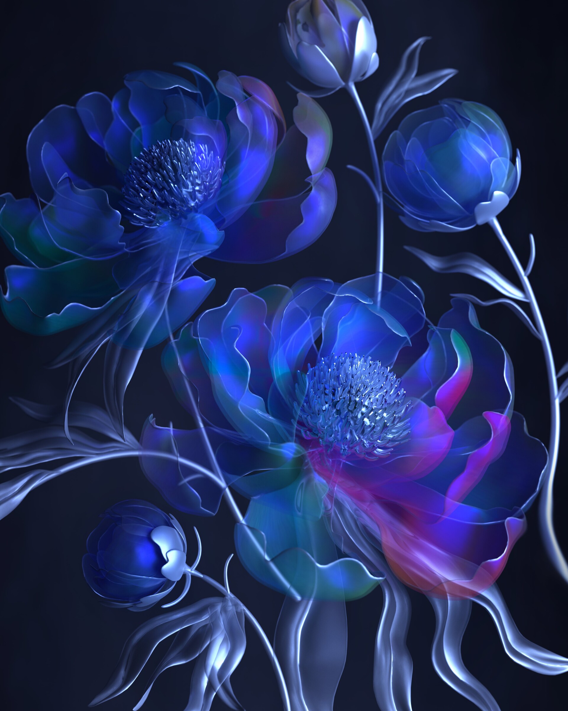 Shams Meccea - Dark Flora