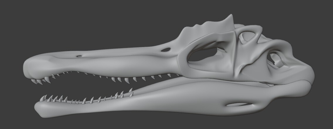 ArtStation - spinosaurus skull