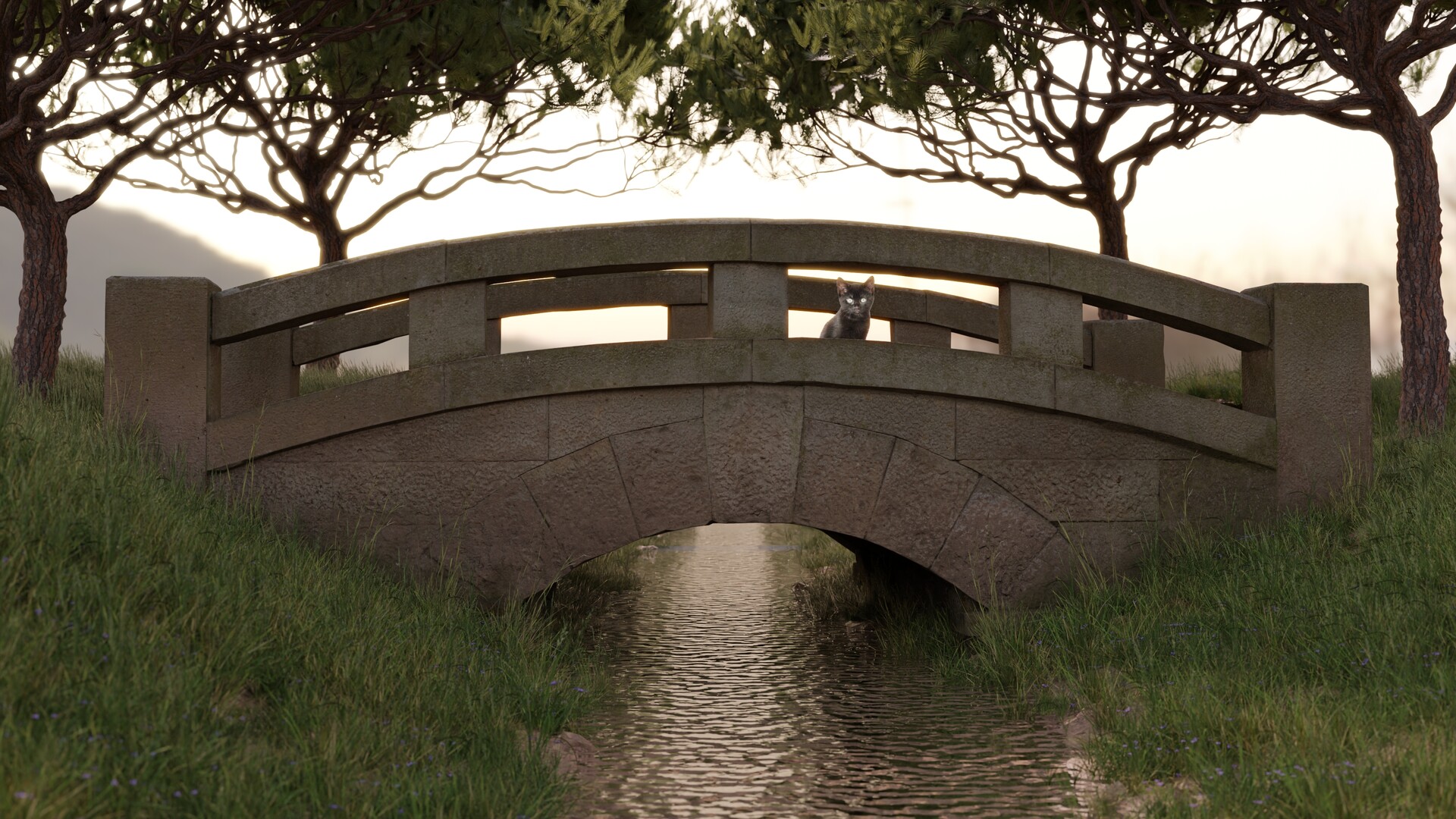 Saphius Stonehocker - Japanise Cat Bridge