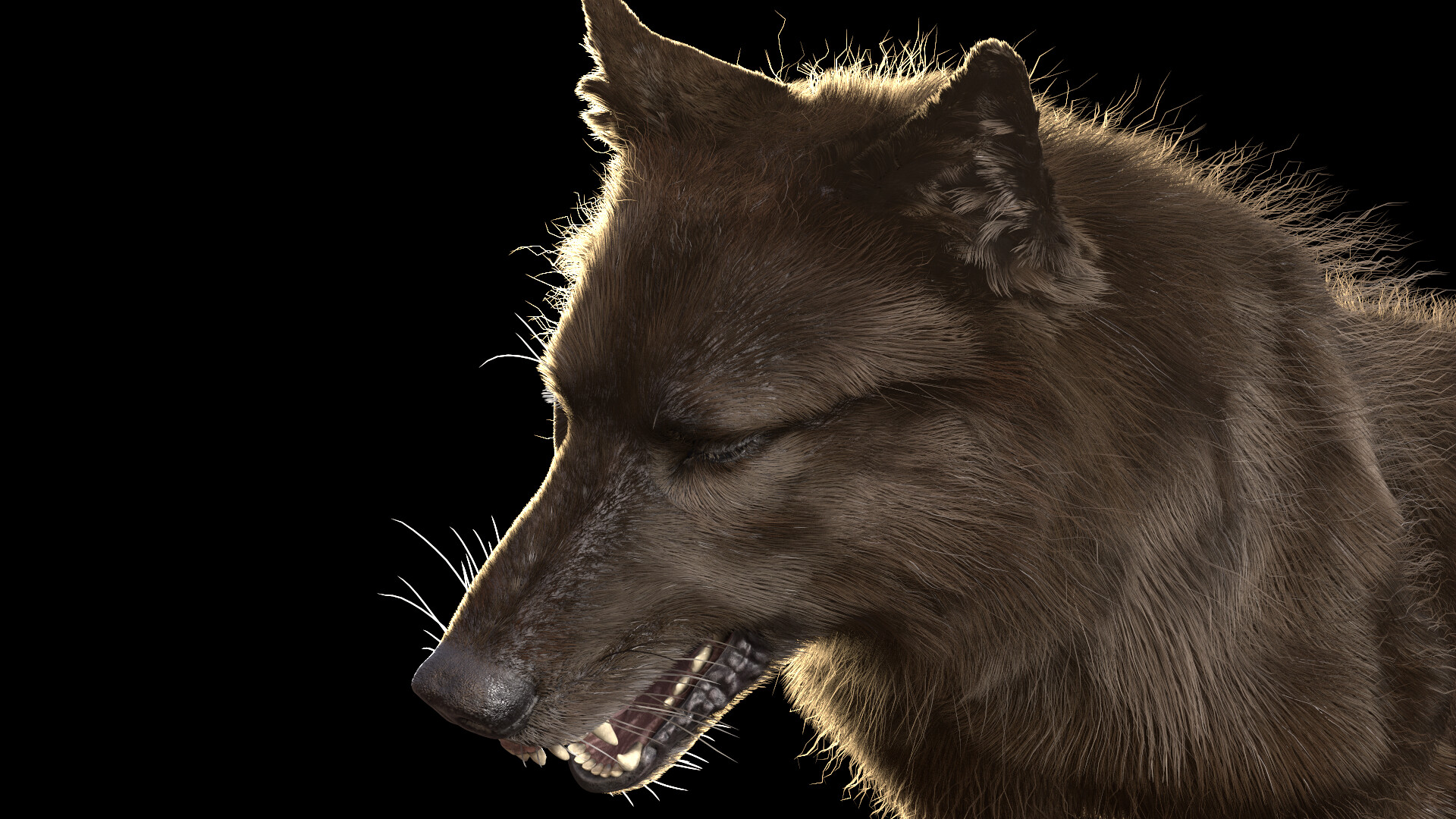 More CG Wolf by Samantha Ames — ProUser.Me