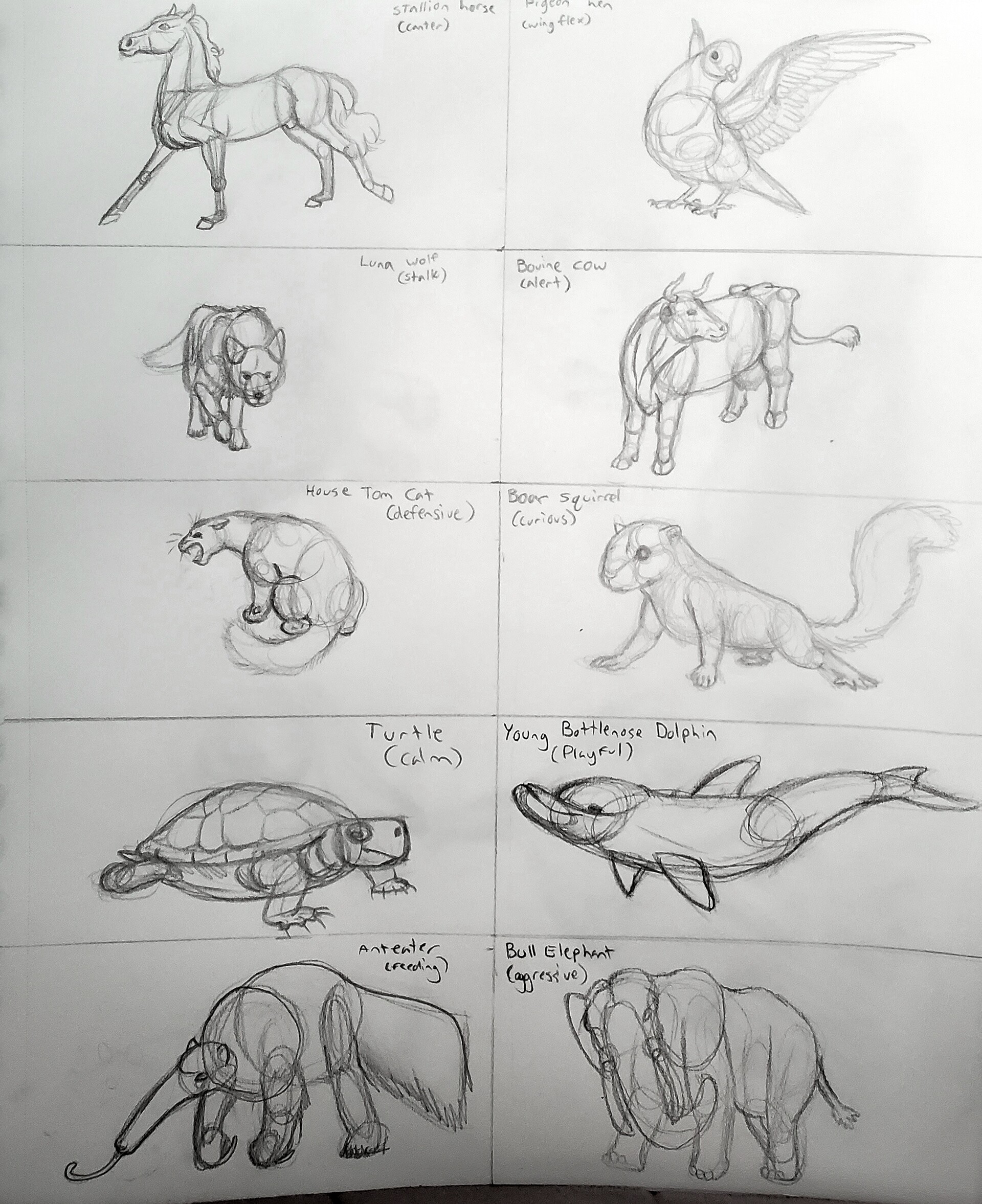 ArtStation - Animal Studies