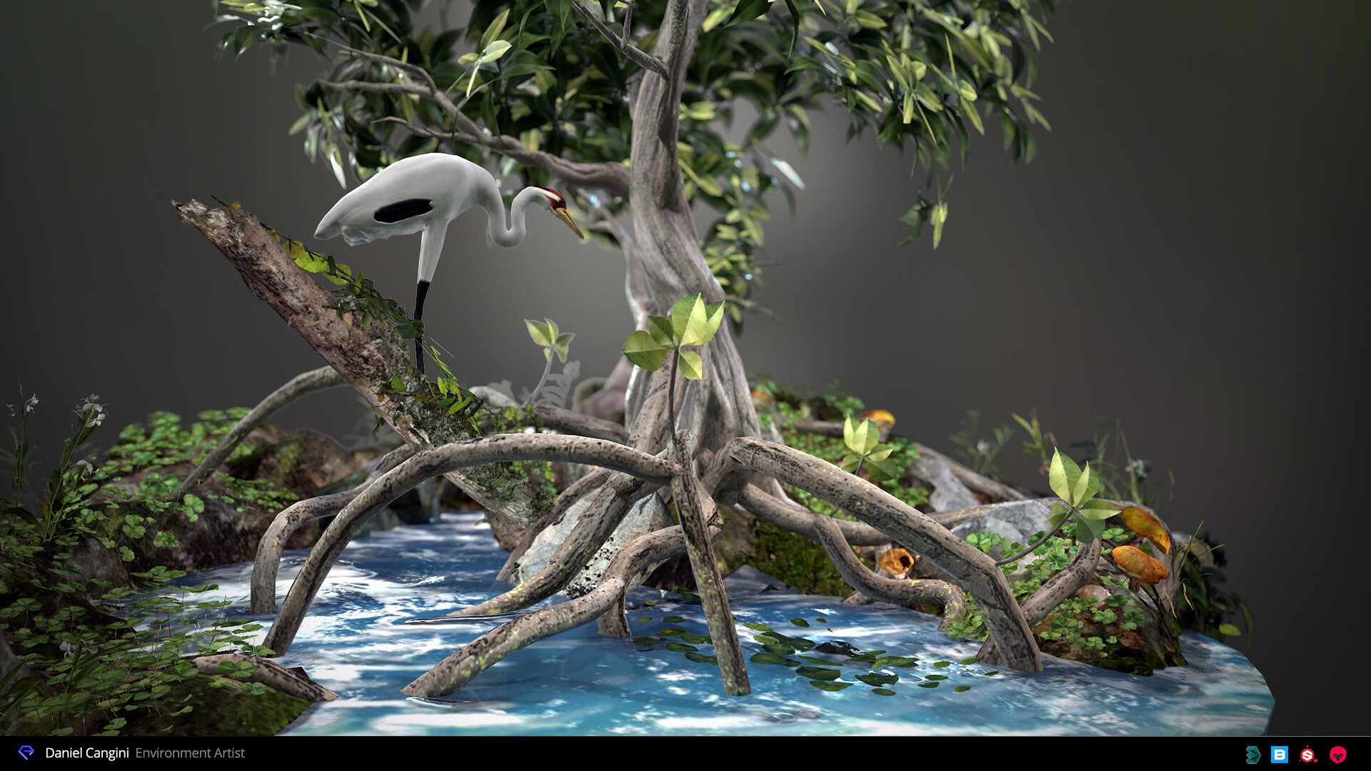 Daniel Cangini portfolio - Unlocking the secrets of mangroves Diorama