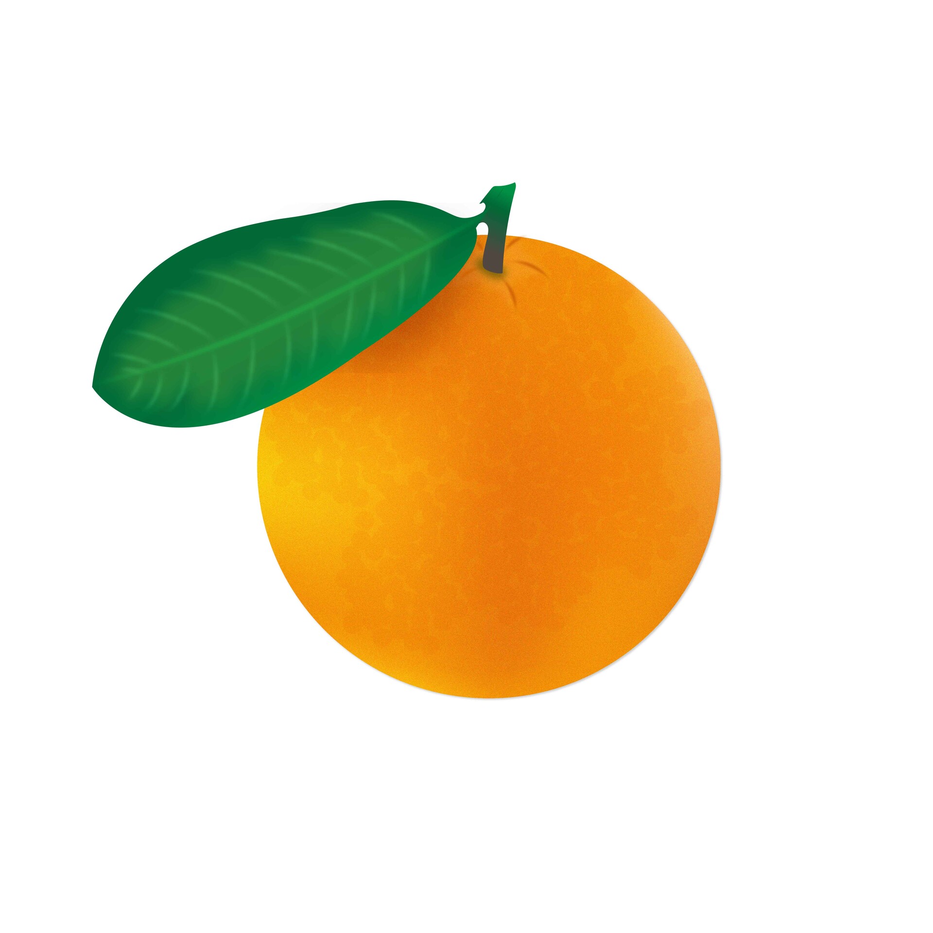 how to draw orange in illustrator