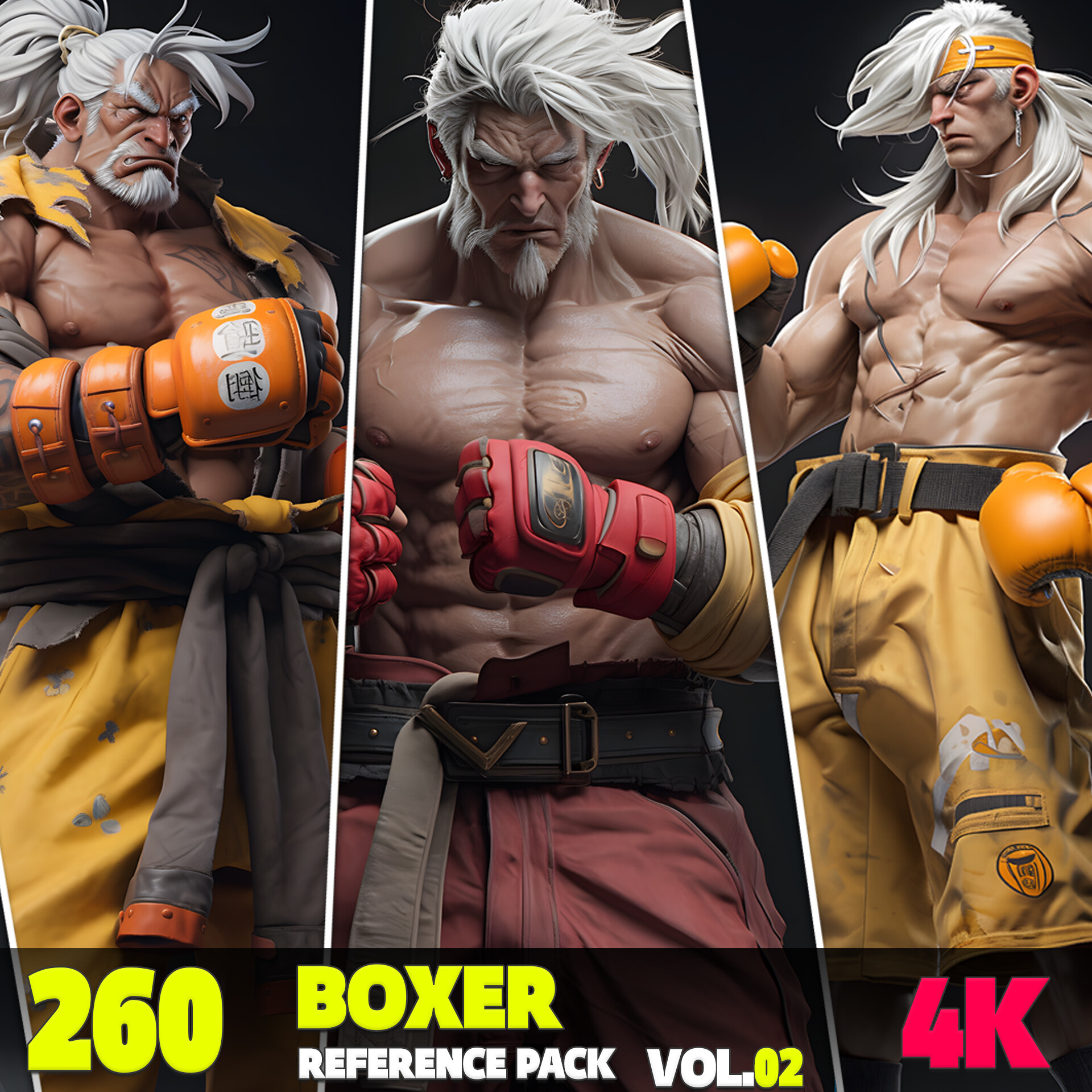 ArtStation - 260 4K Boxer Reference Pack Vol.02
