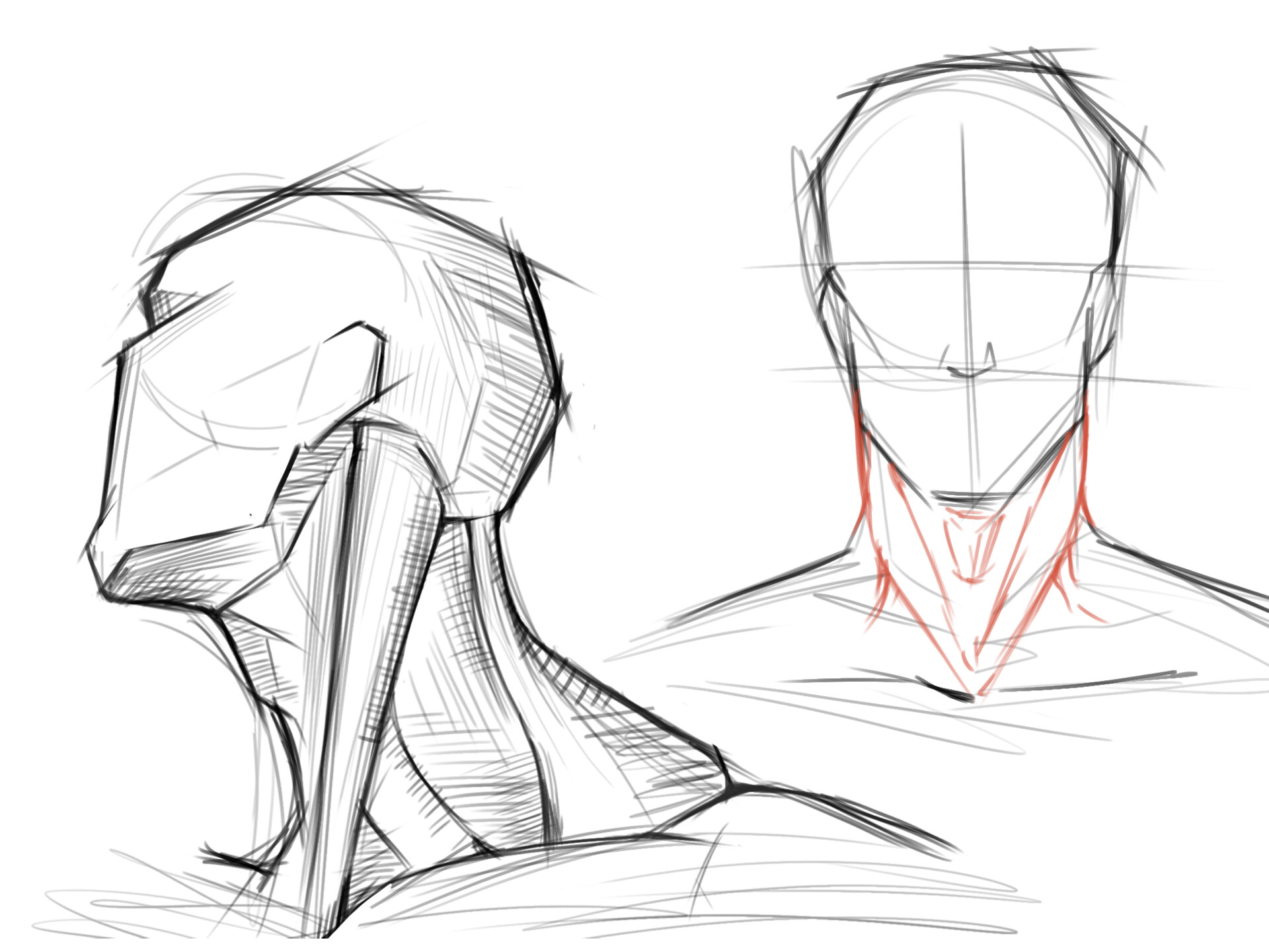 Female Neck Anatomy Drawing at Lawrence Gooden blog