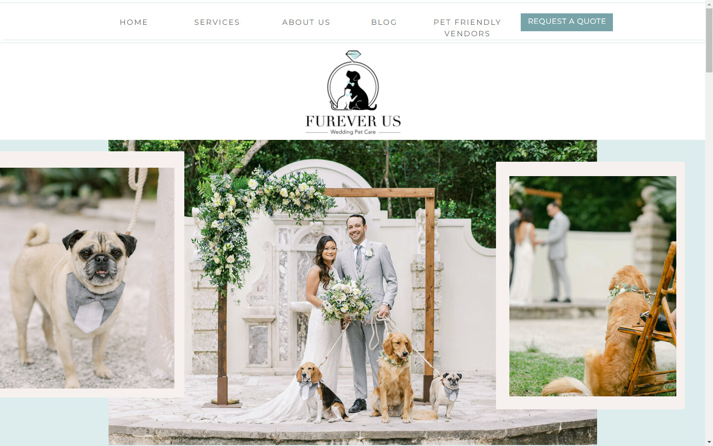 ArtStation - Pawsitively Perfect: Taking Care of Your Beloved Pets on ...