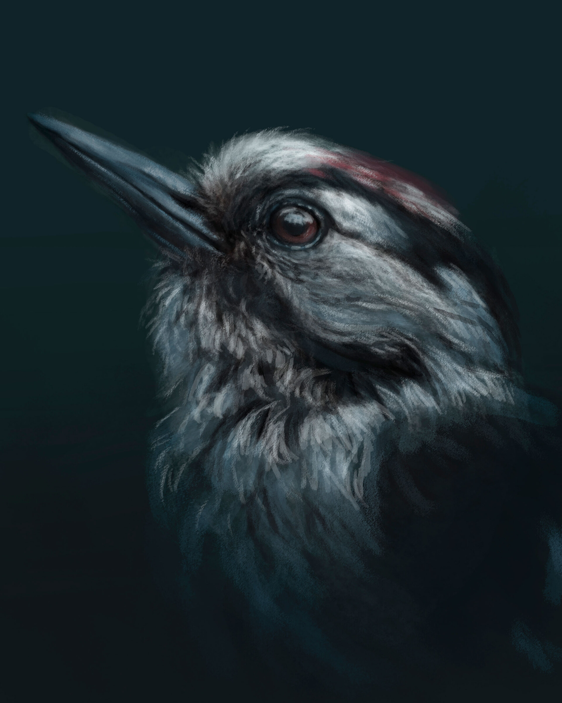 ArtStation - Bird Drawing