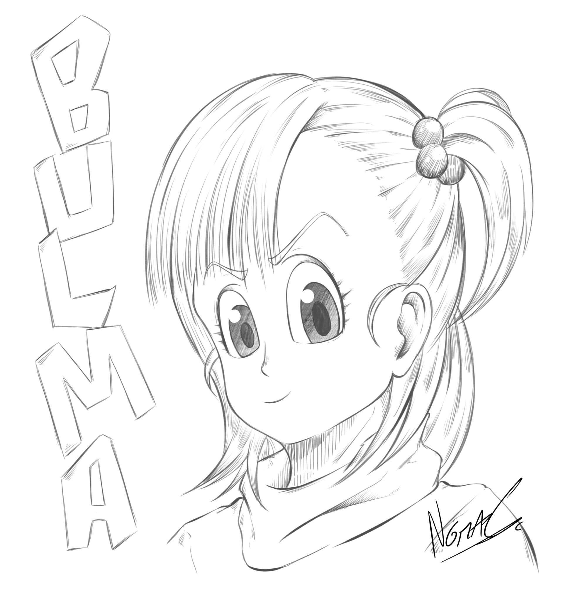 ArtStation - Bulma