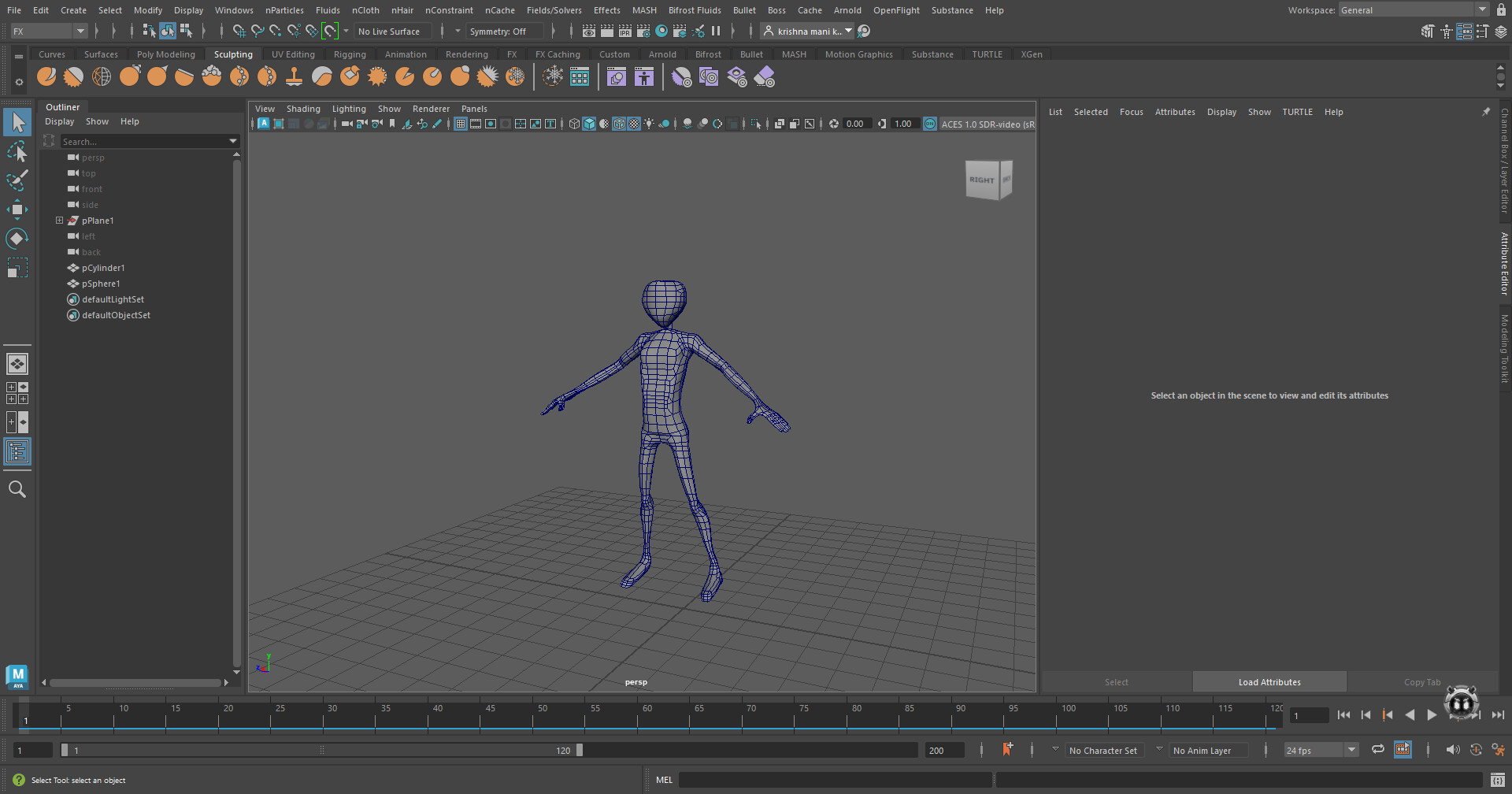 ArtStation - Human body