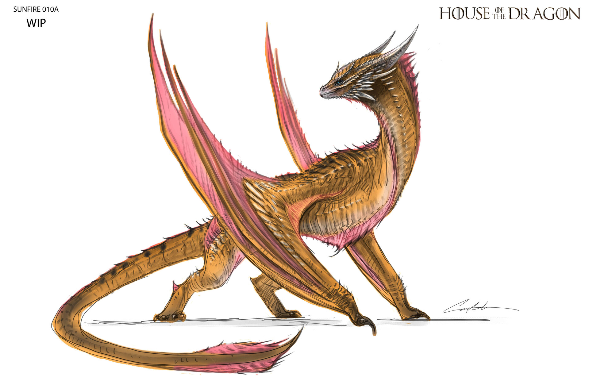 Constantine Sekeris - HOUSE OF THE DRAGON SUNFIRE DESIGN