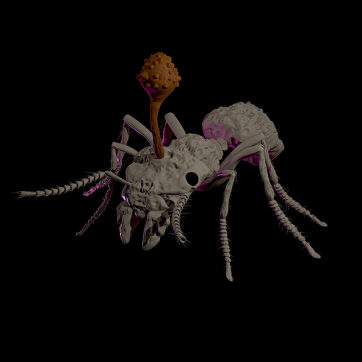 ArtStation - Ophiocordyceps unilateralis