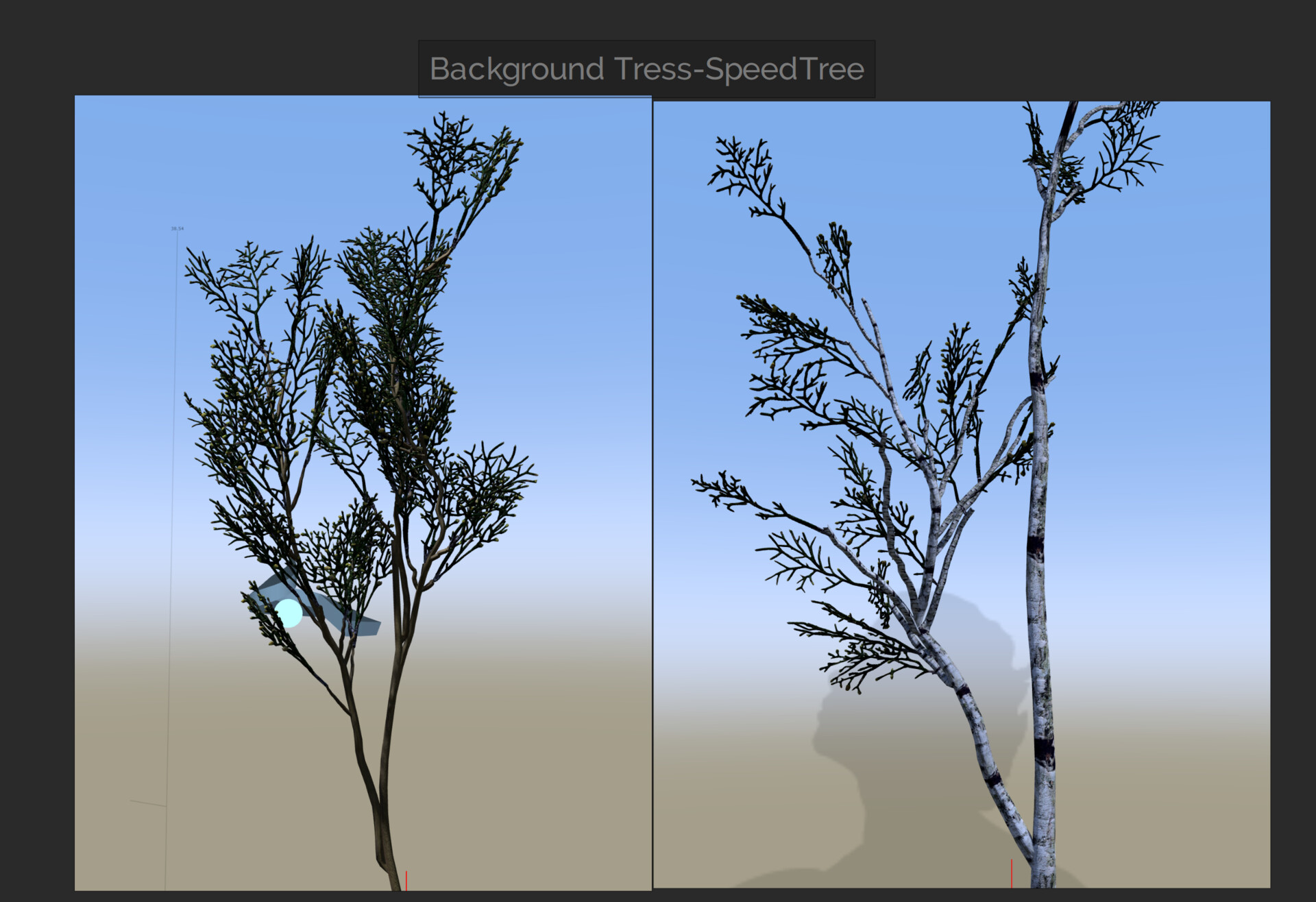 Yue Zhang - Foliage practice: Juniper Berry (Unreal)