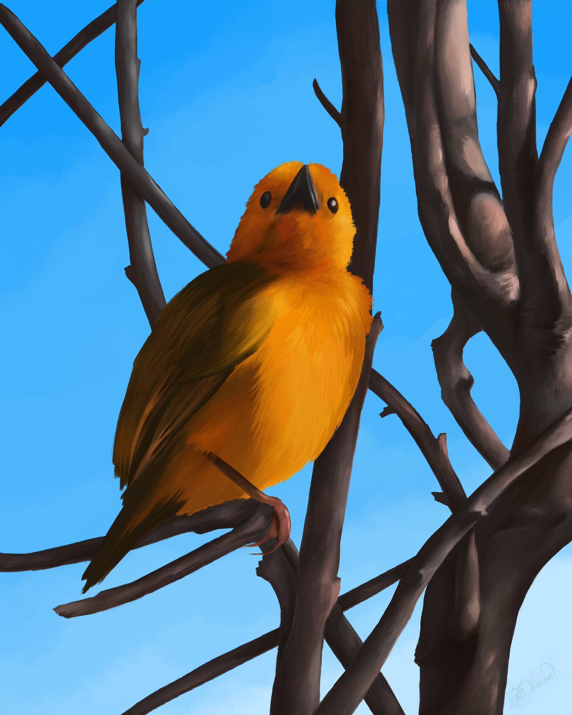 ArtStation - Taveta Golden Weaver Painting