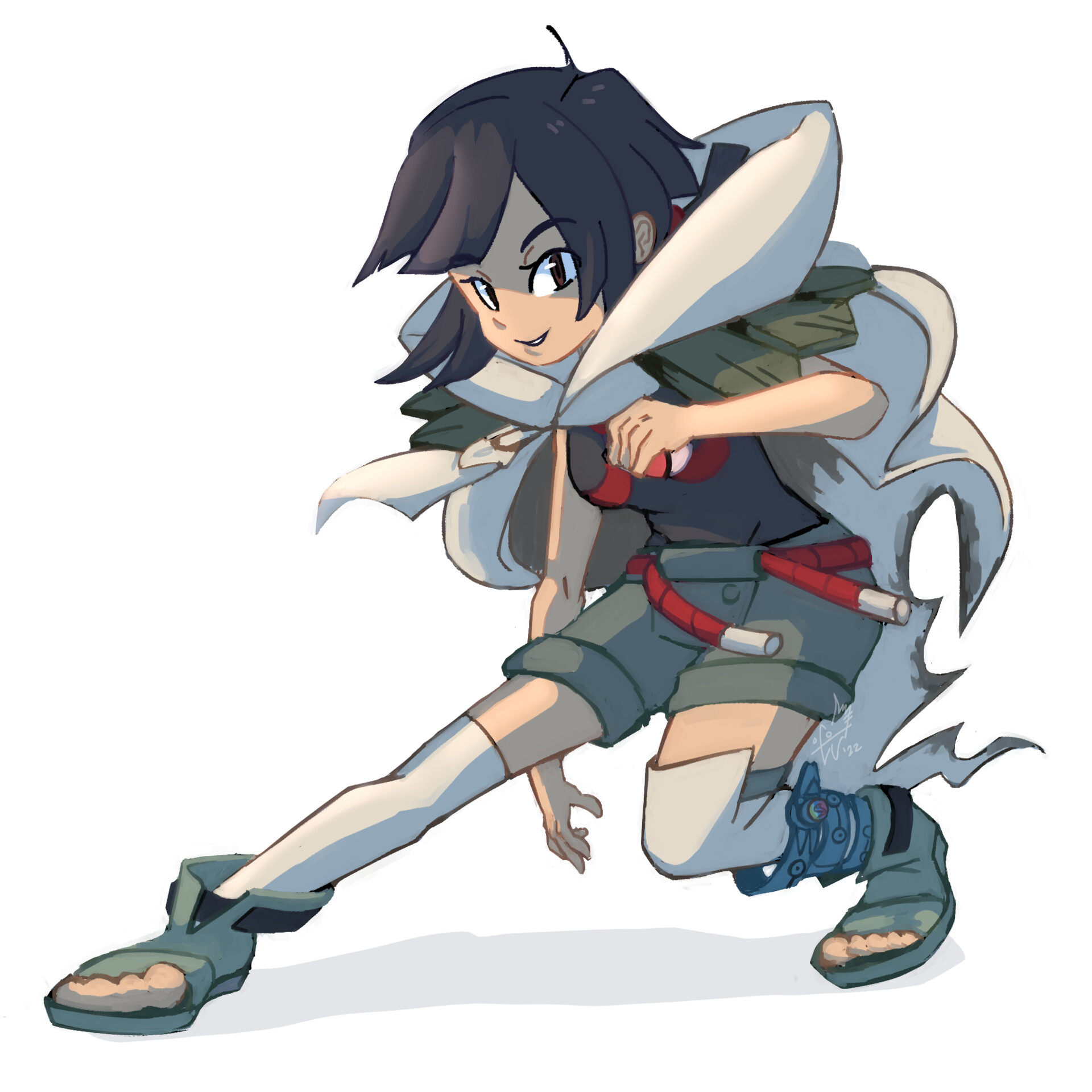 Zinnia Pokemon Manga