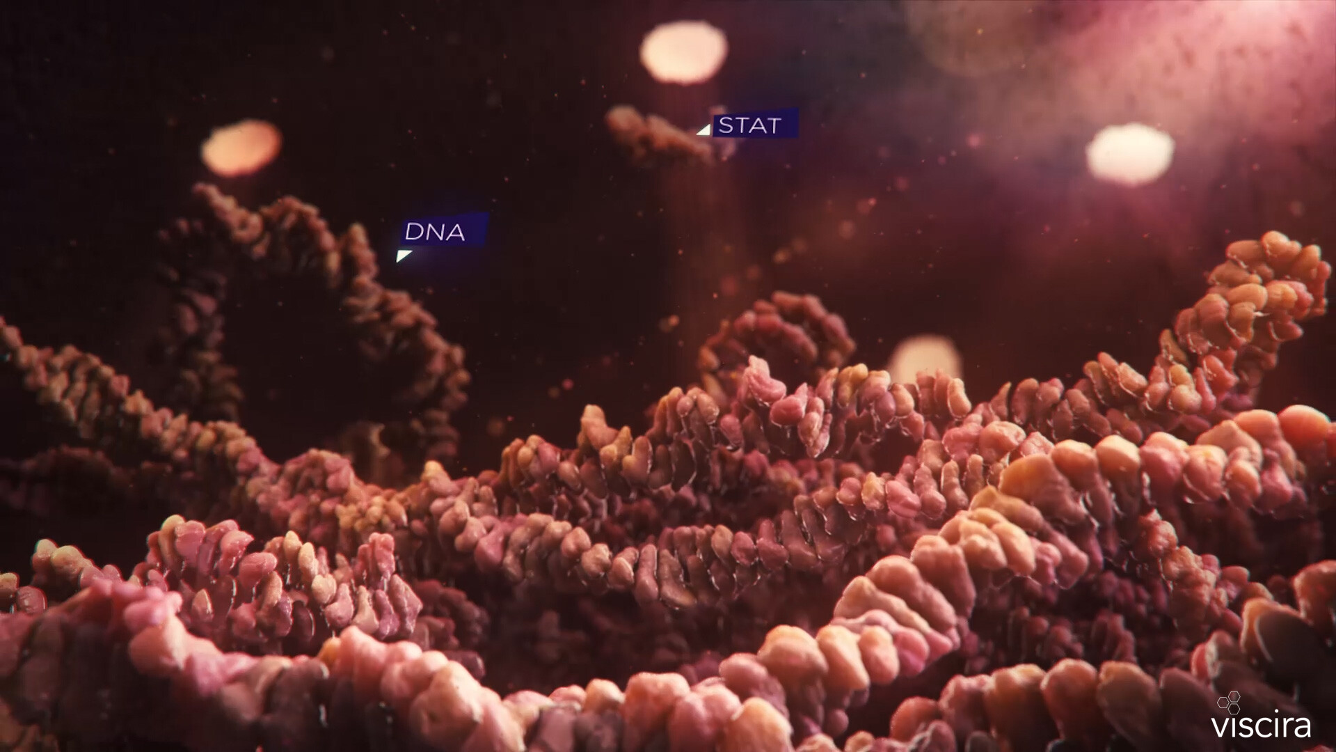 Lars Minsaas - Roles of JAK2 in Inflammation Medical Animation - Maya, Modo