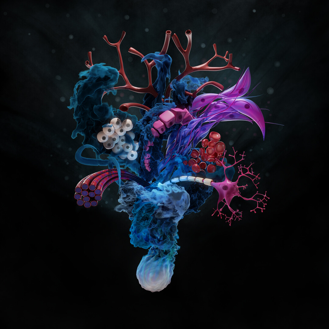 ArtStation - Stem cell differentiation