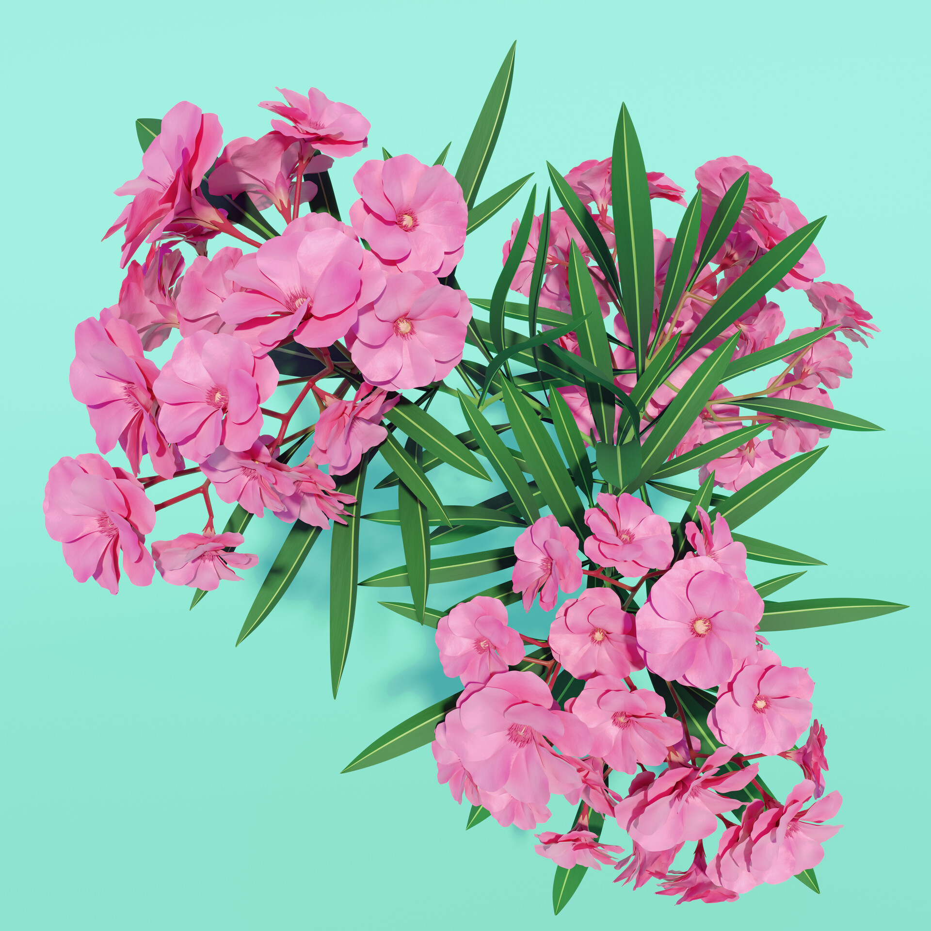 ArtStation - Oleander