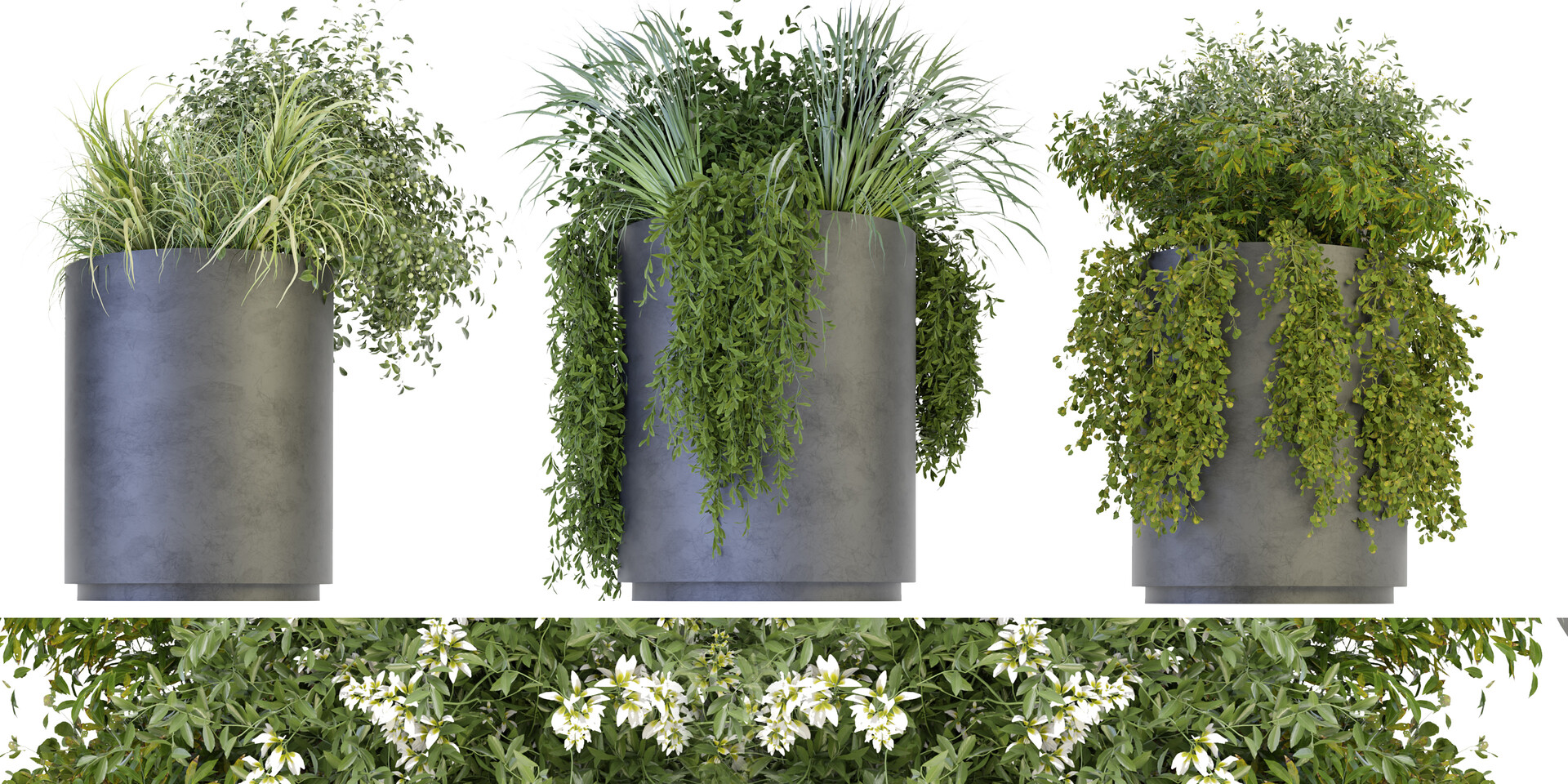 ArtStation - Collection Plant Vol 232 - Blender Model