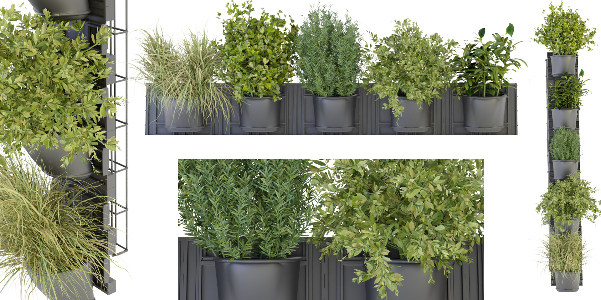 ArtStation - Collection Plant Vol 238 - Blender Model