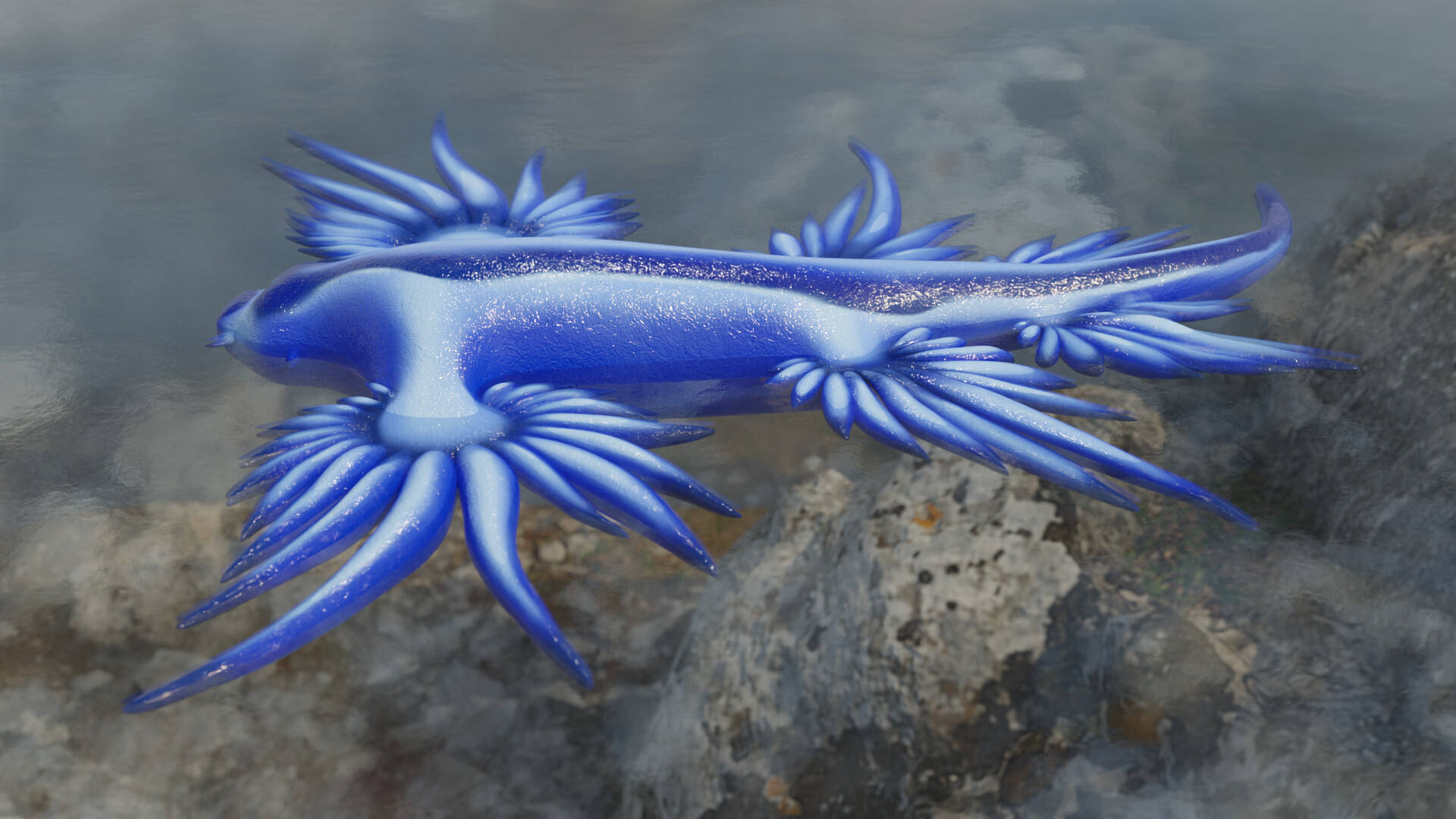 Glaucus Atlanticus Wallpaper