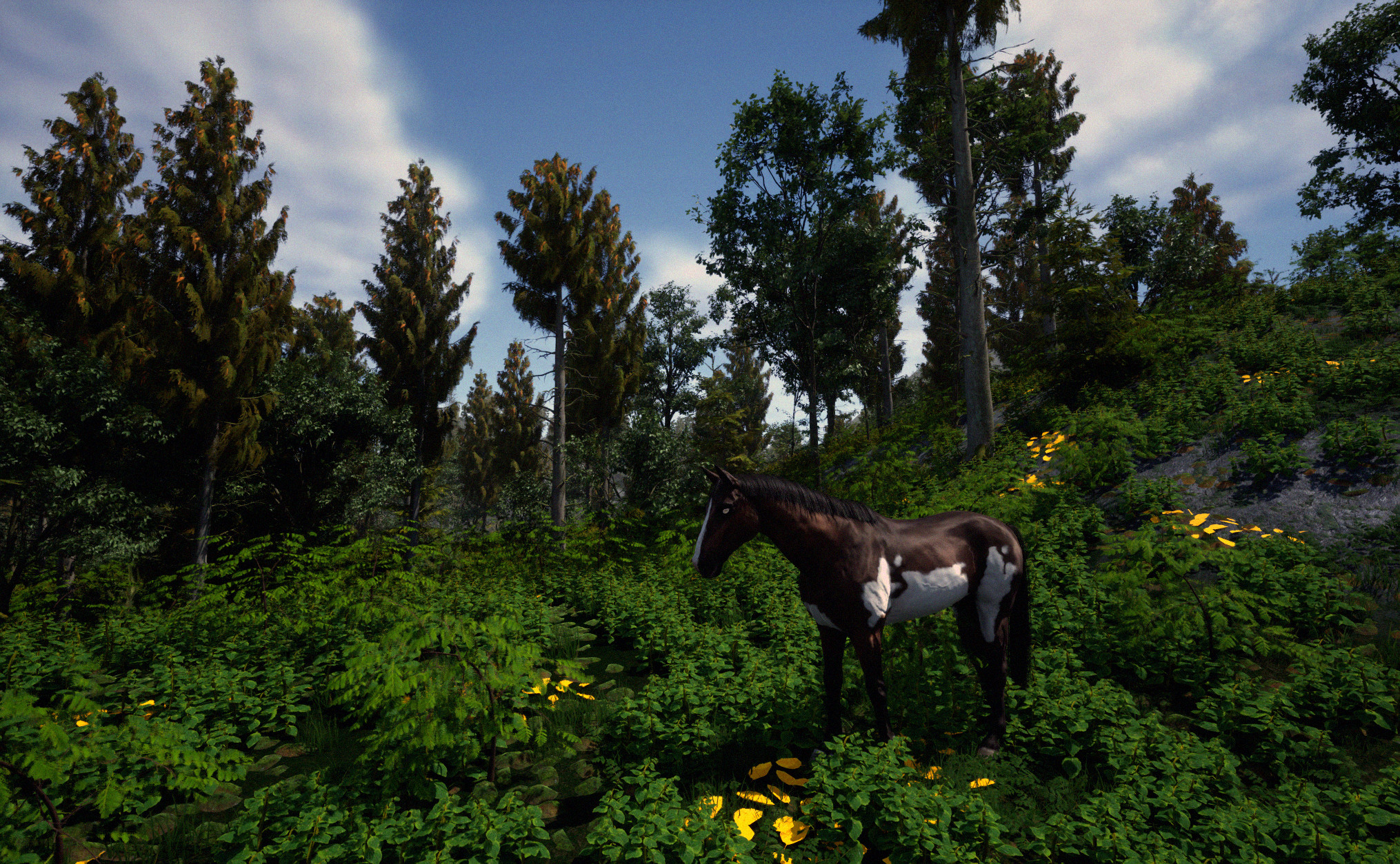 Amanda Roche - Untitled Horse Game Unreal 5 with PCG Enviroment