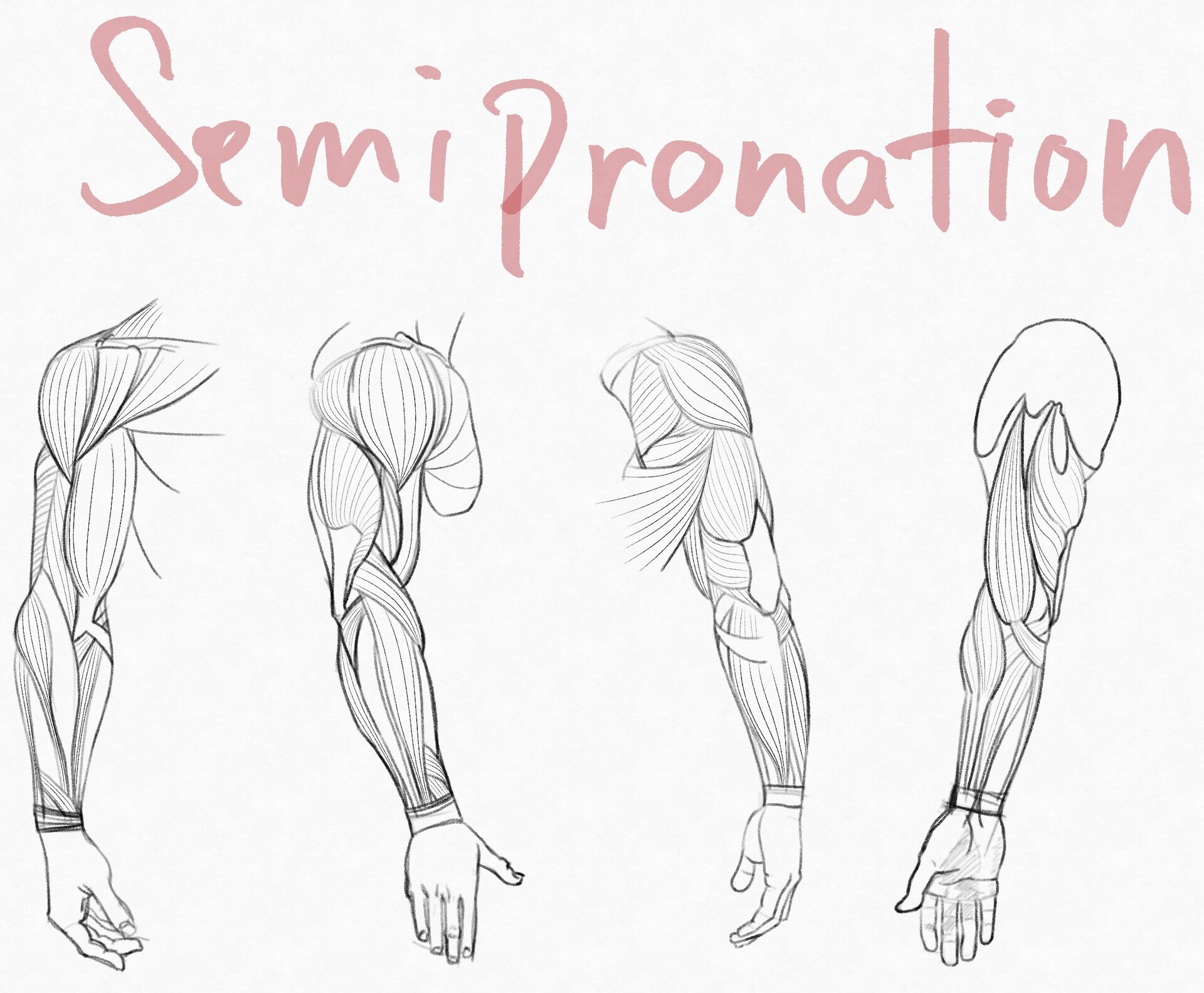 how to draw strong arms step by step