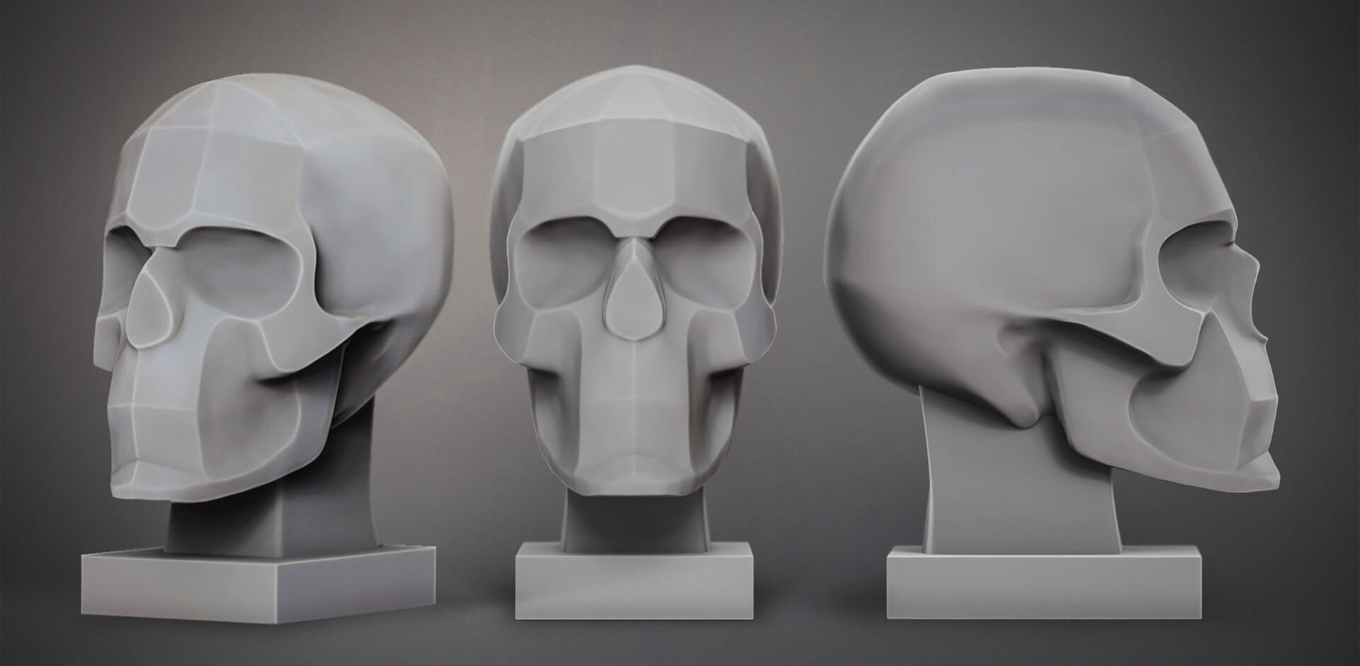 ArtStation - Bammes method skull