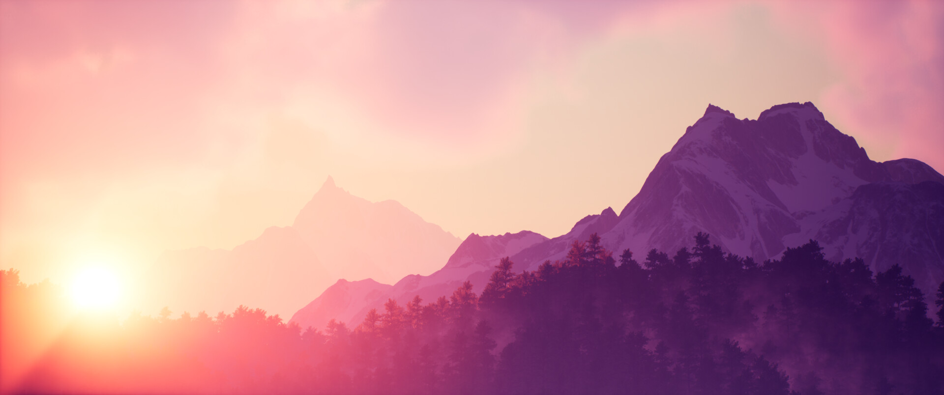 Chris Thompson - Vista Forest Explorations