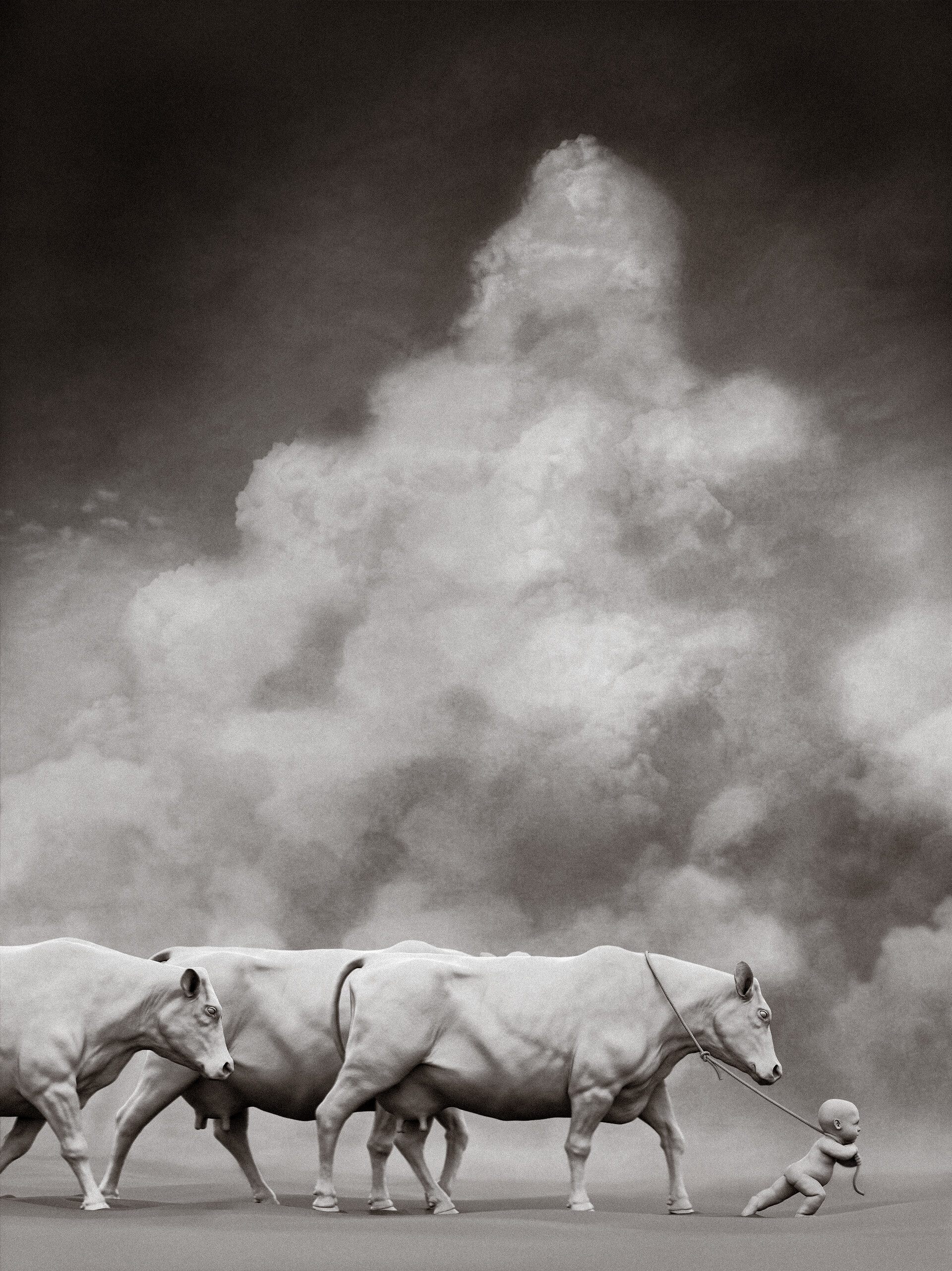 ArtStation - Apollo's Cattle