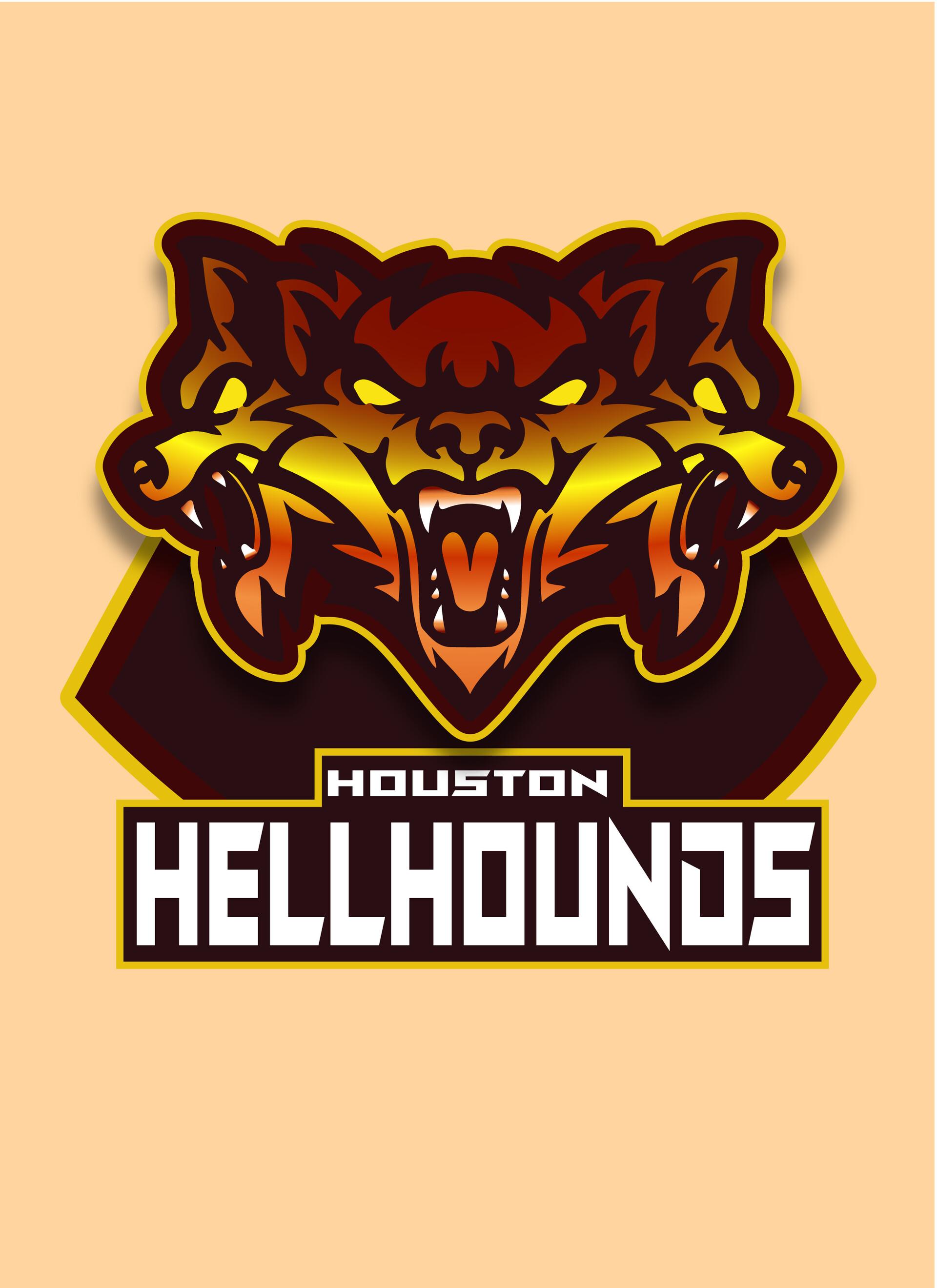Hellhounds Logo Officially Licensed USMC MALS 39 Hellhounds Patches