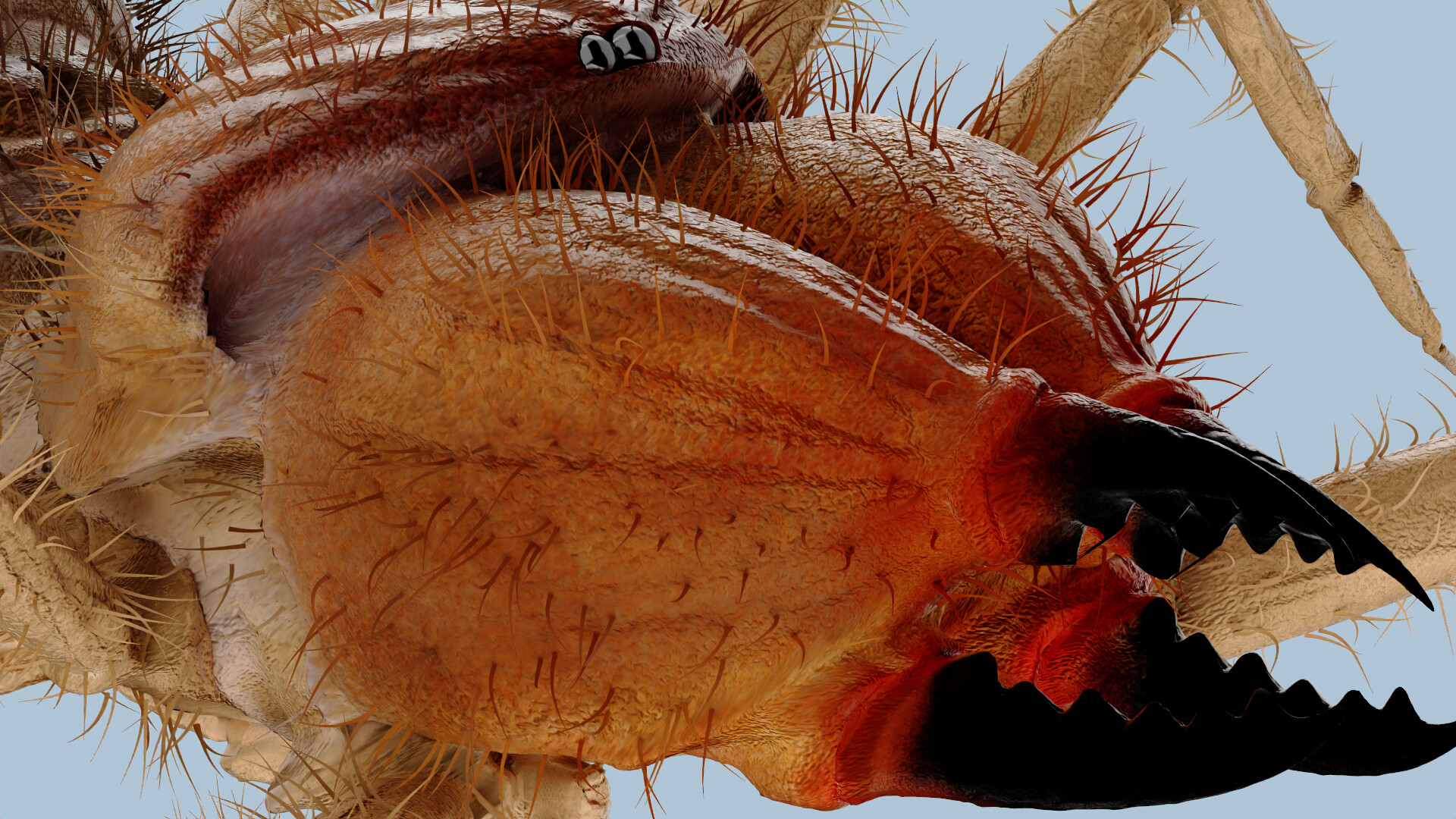 Aaron Sakhi - Monstrous Solifugae 3D model