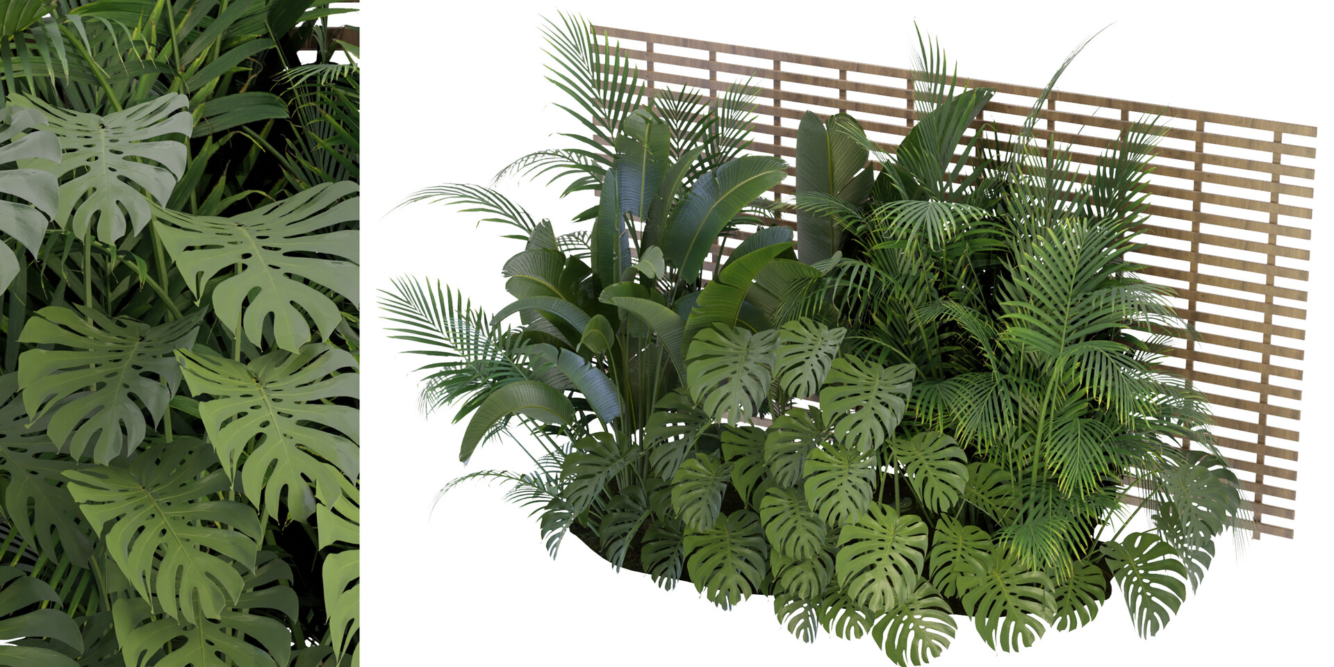 ArtStation - Collection Plant Vol 335 - Blender Model