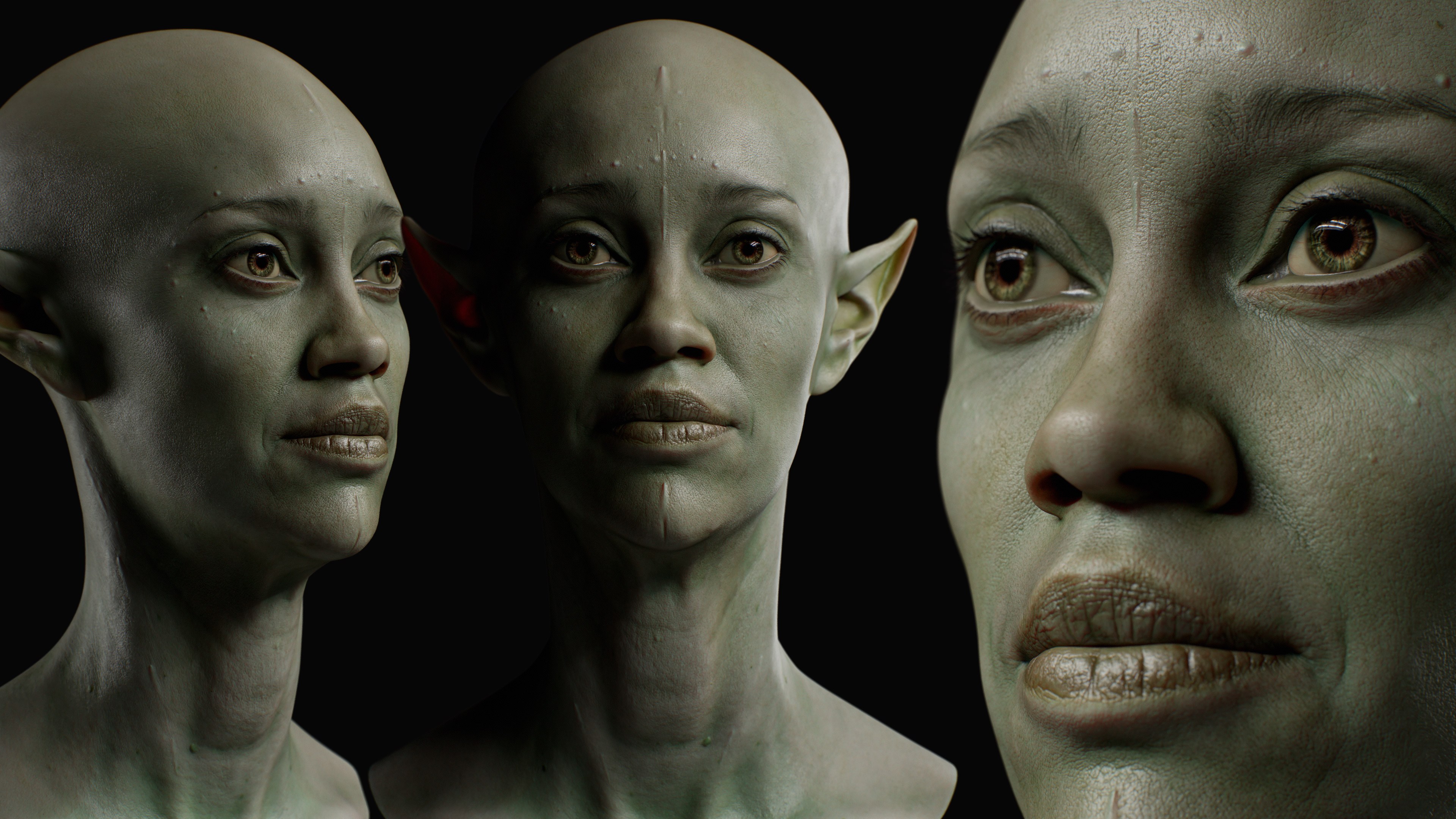 3D Scan Store - Exomorphs