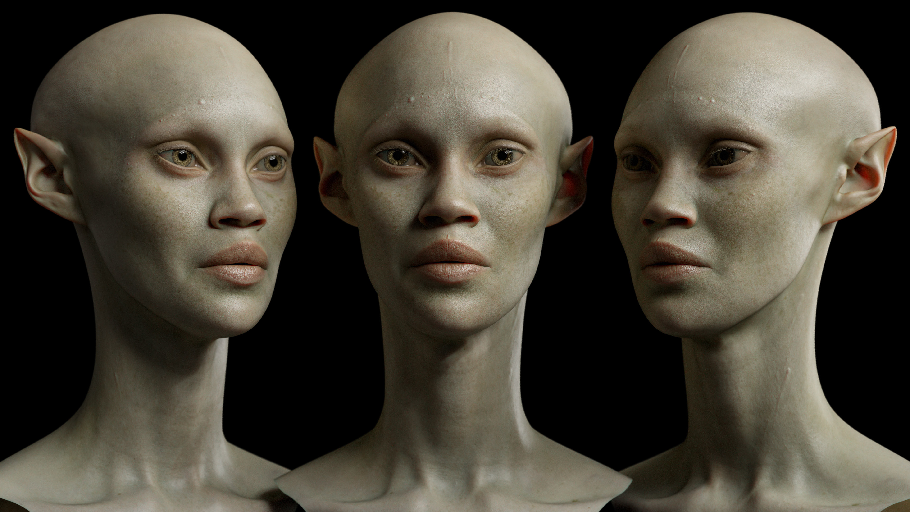 3D Scan Store - Exomorphs